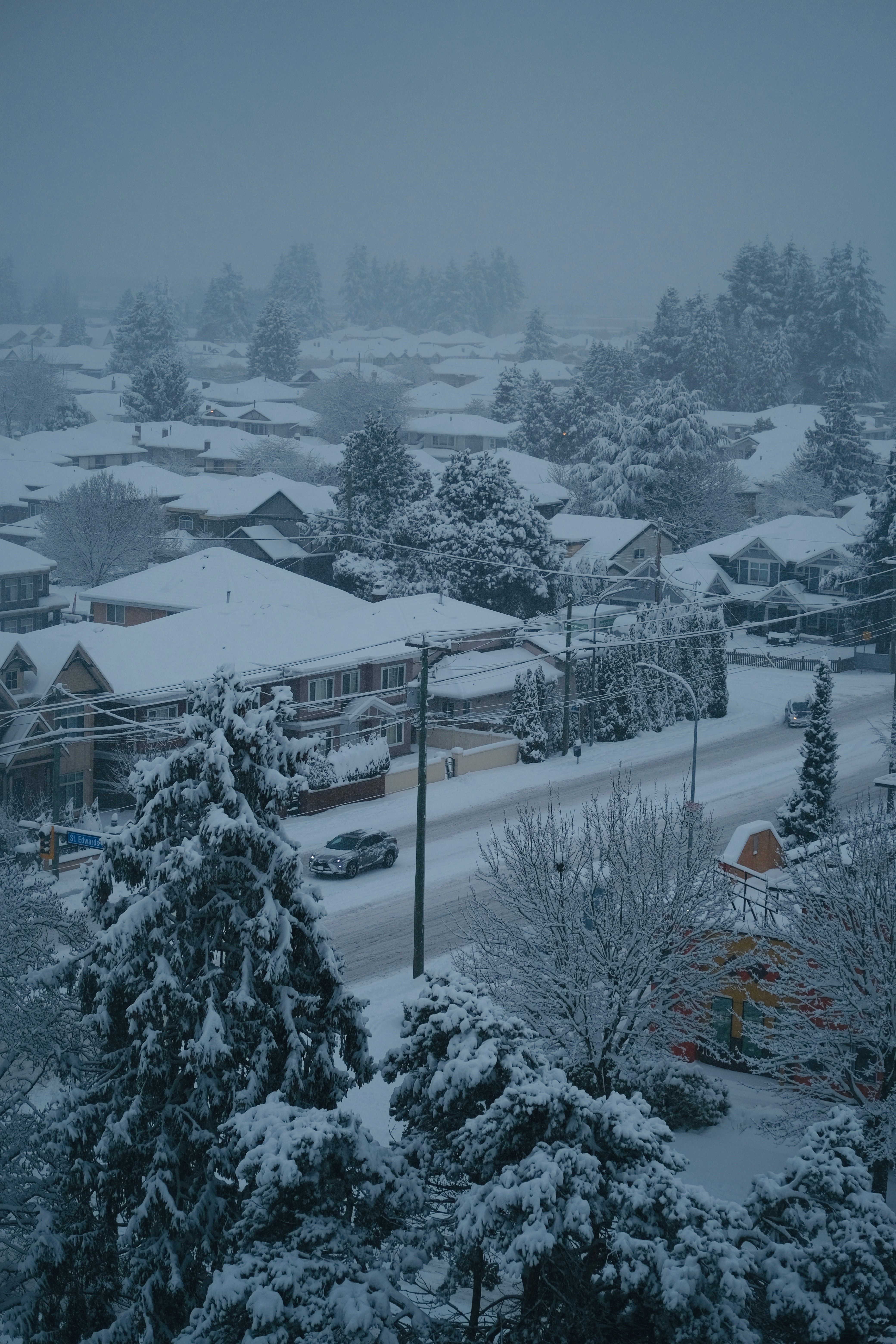 Snow on Buildings and Trees in Town · Free Stock Photo