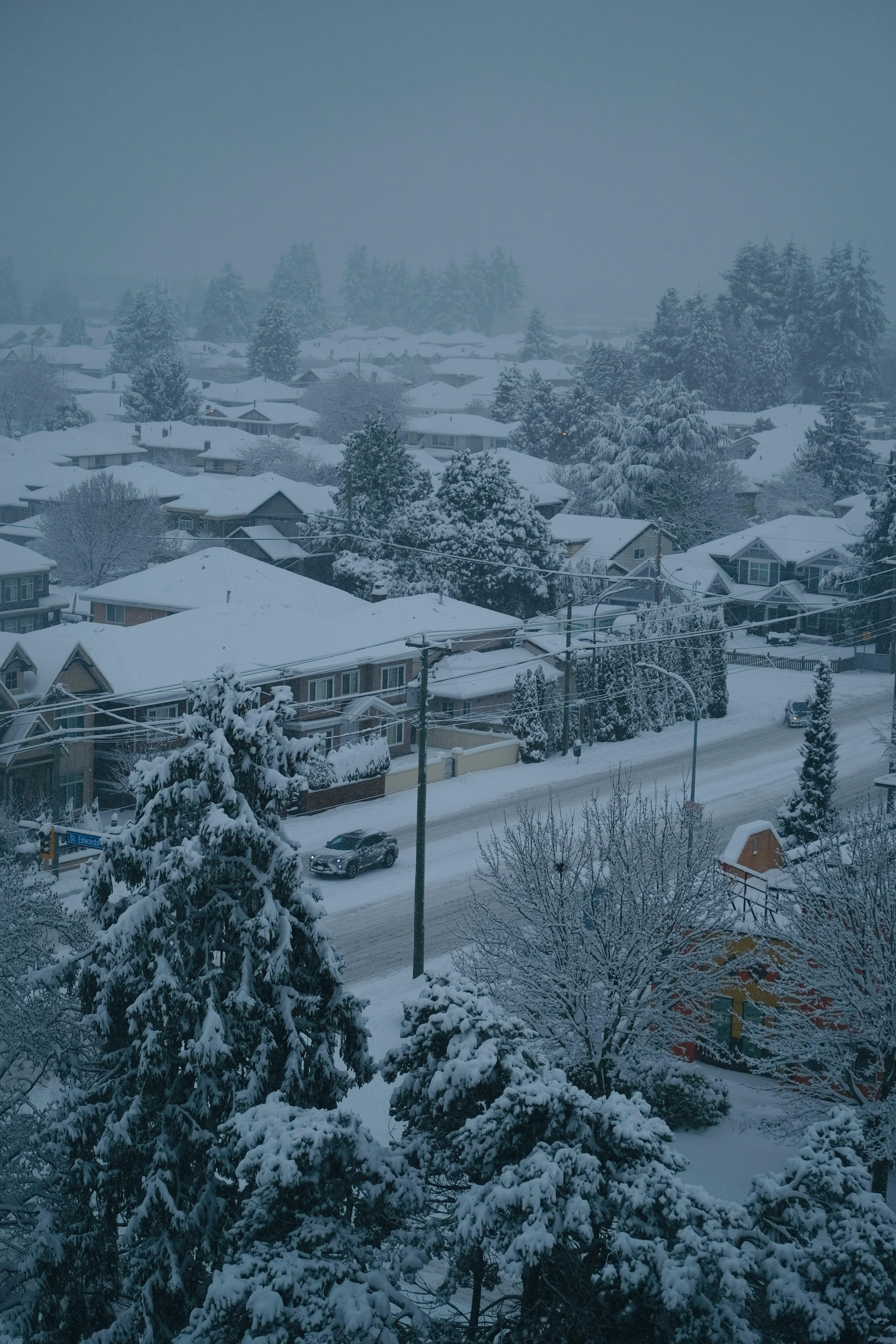 Snow on Buildings and Trees in Town · Free Stock Photo