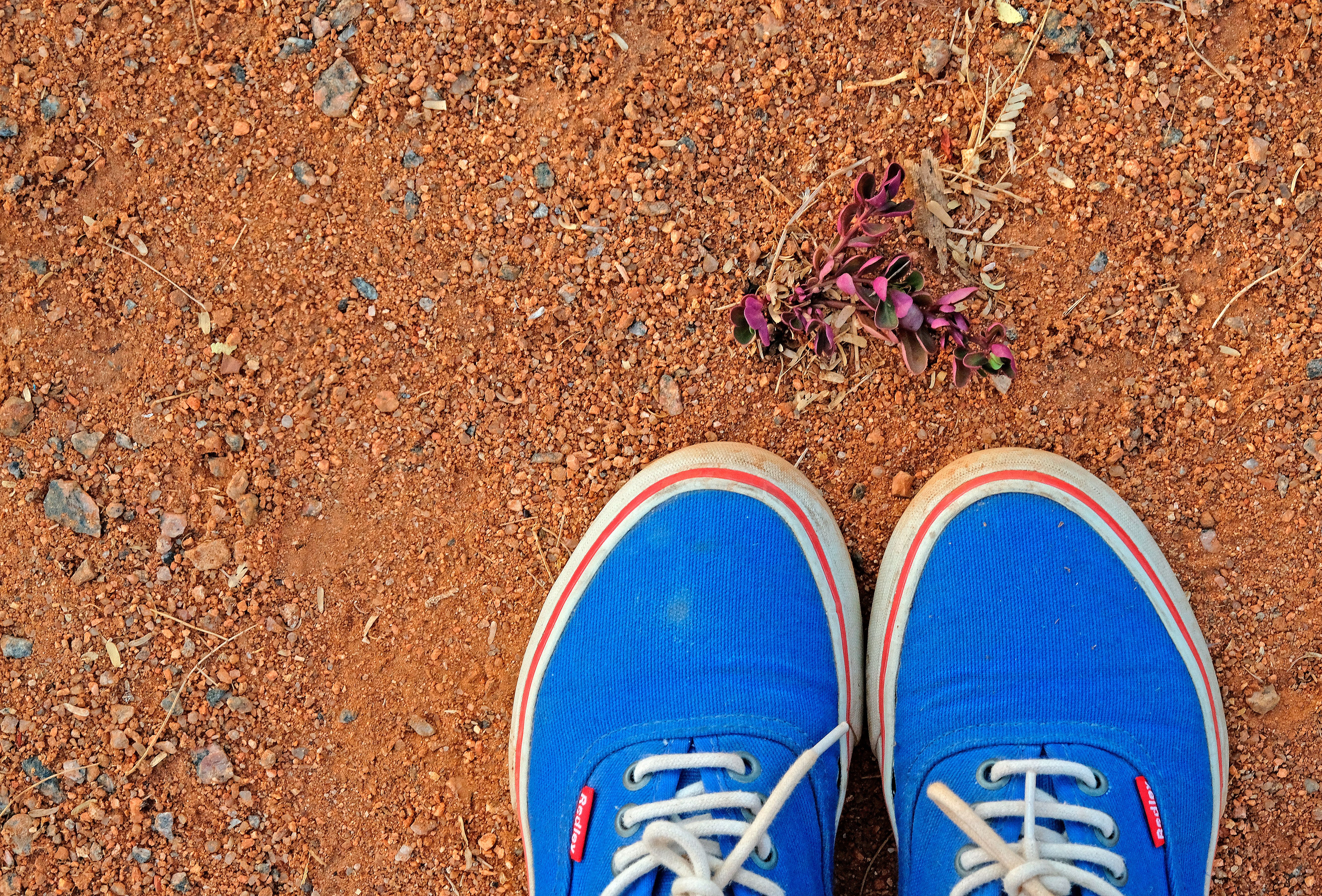 be free · Free Stock Photo