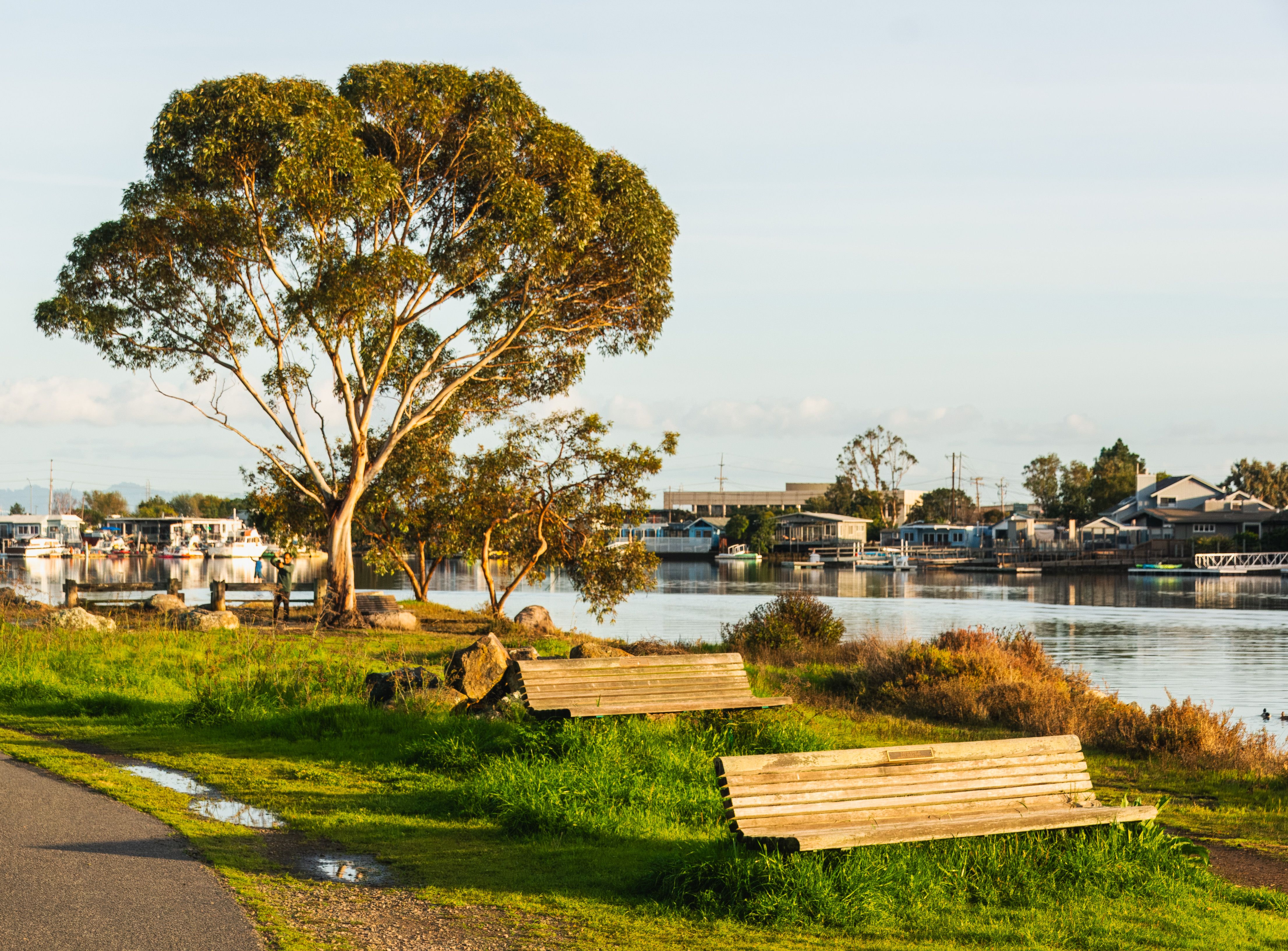 Benches over River · Free Stock Photo