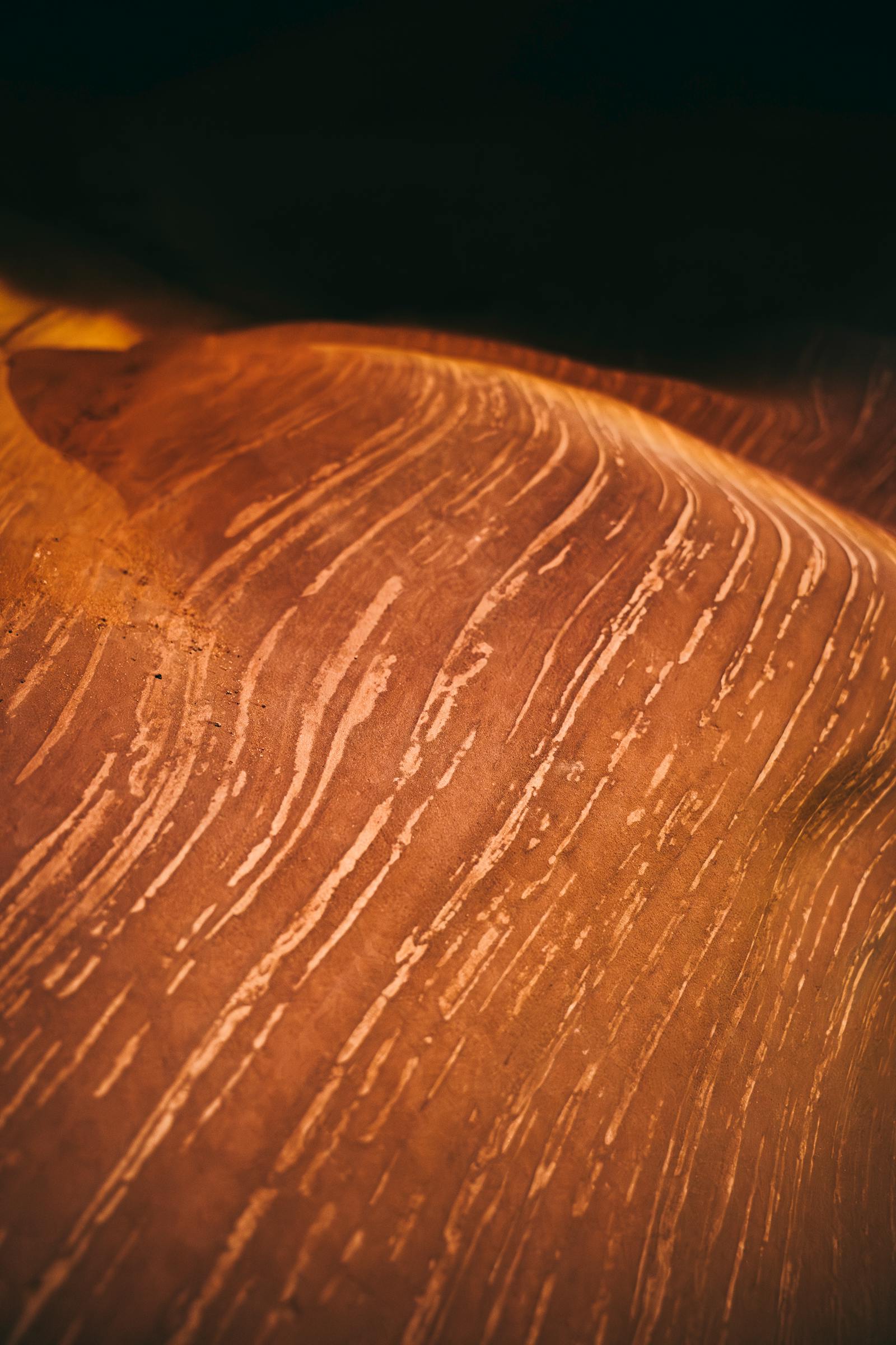 Natural Shapes Photos, Download The BEST Free Natural Shapes Stock ...