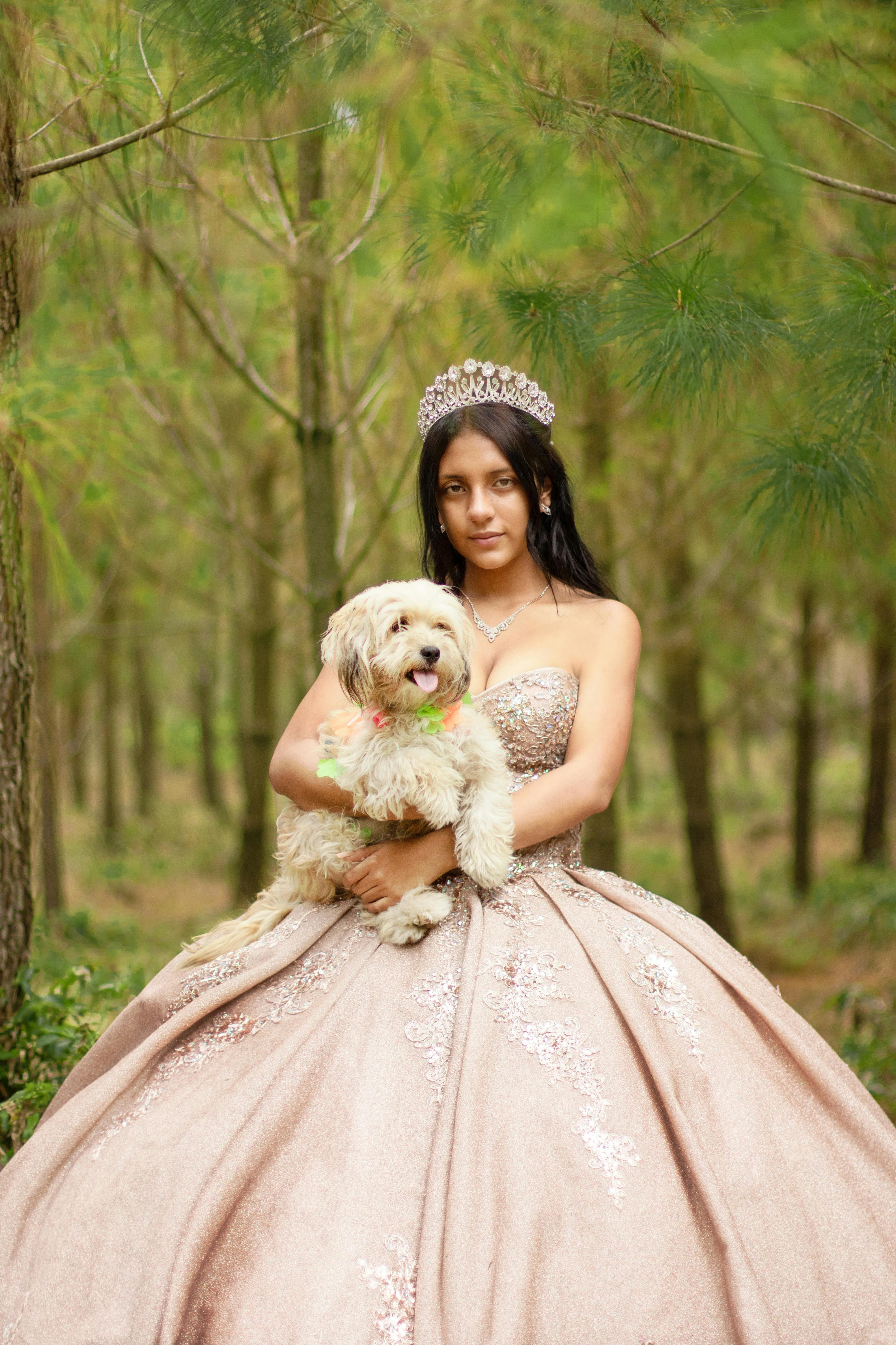 Dog Princess Photos, Download The BEST Free Dog Princess Stock Photos ...