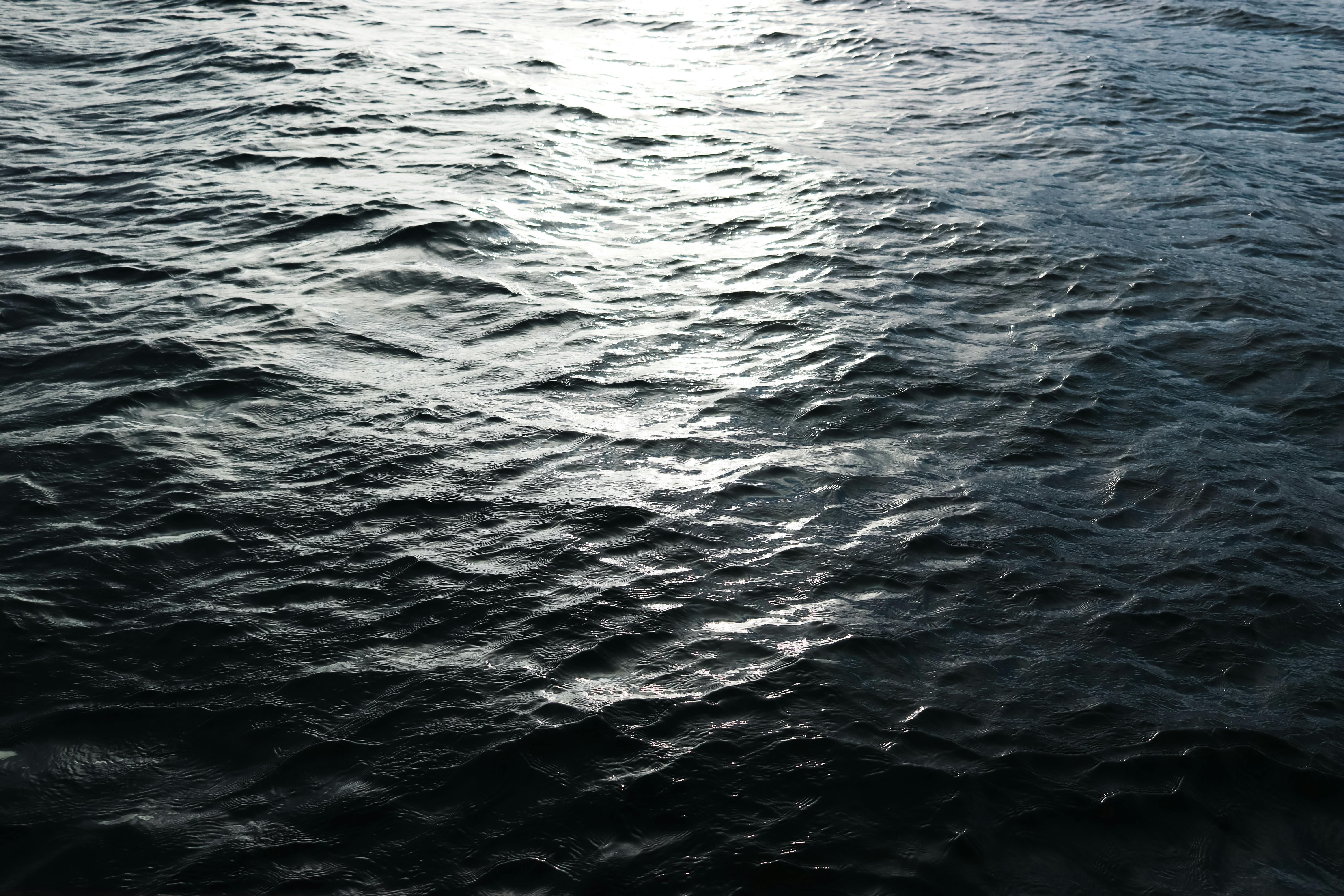 Wavy Sea Water · Free Stock Photo