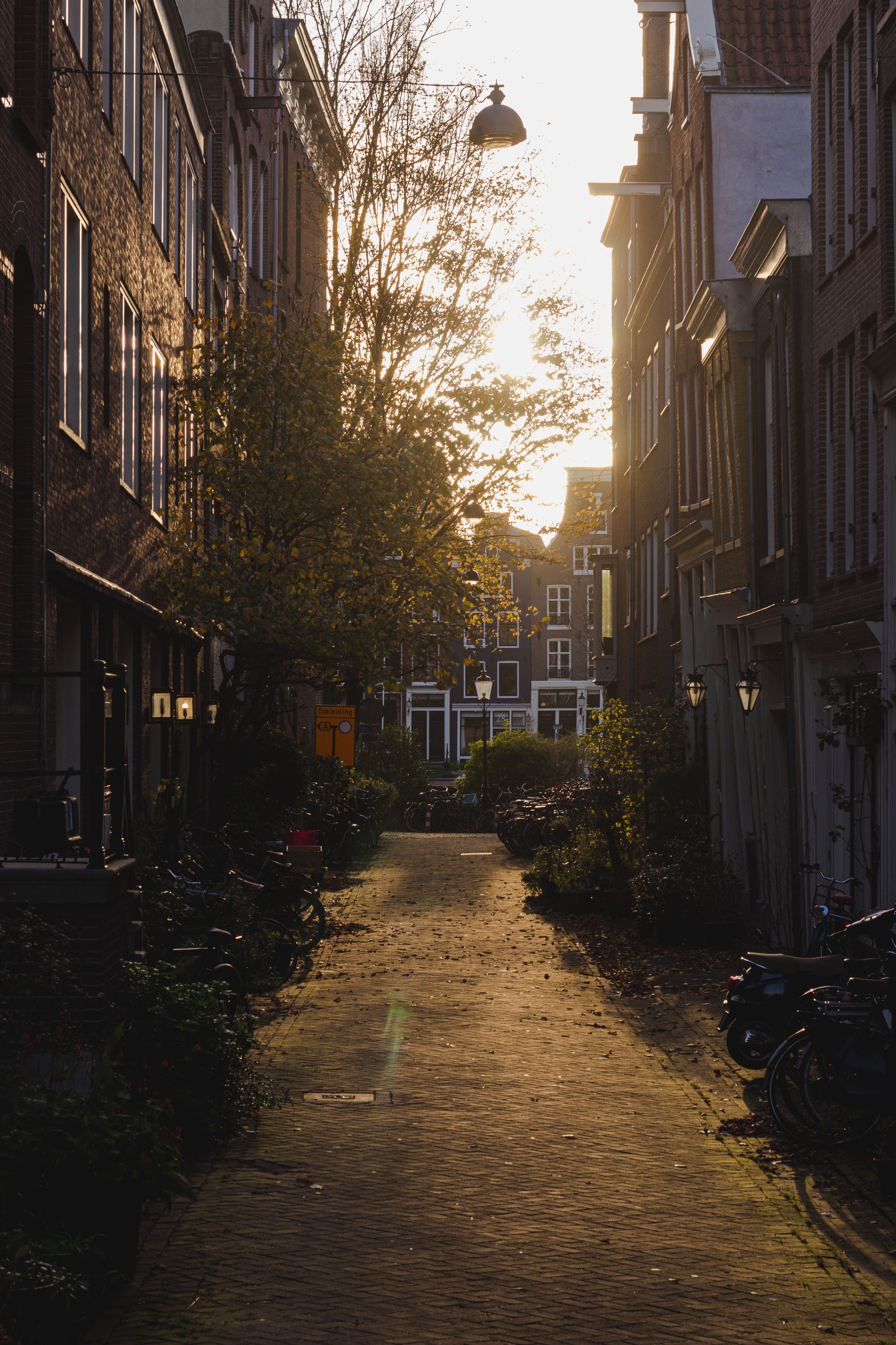 Narrow Alley in Town at Sunset · Free Stock Photo