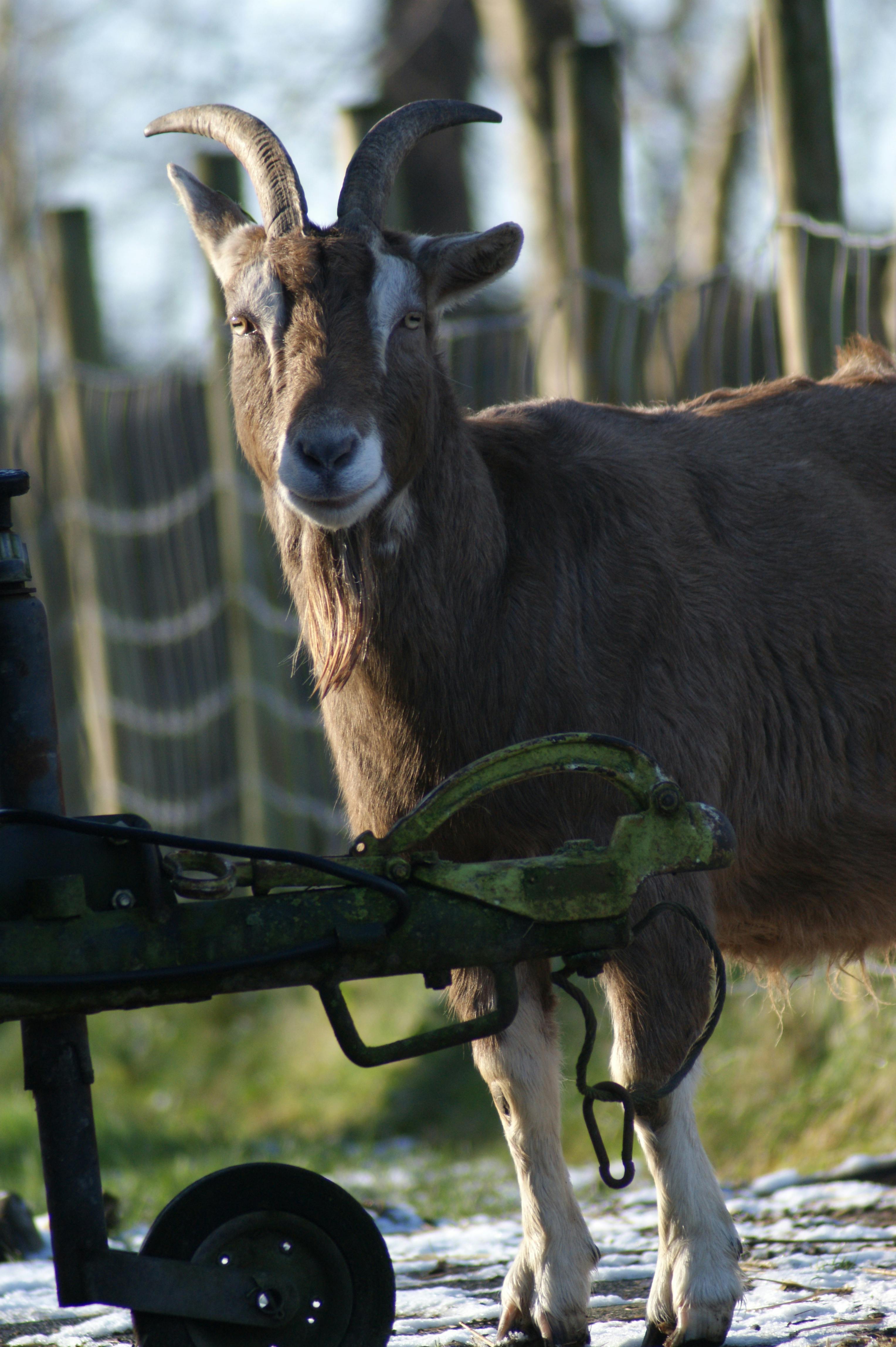 Femke Hansen - Photography