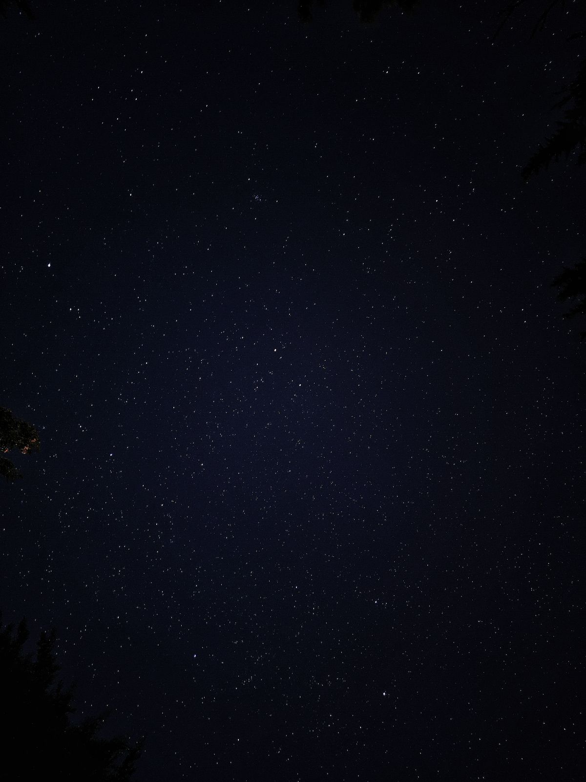 Night Sky Pfp Photos, Download The BEST Free Night Sky Pfp Stock Photos ...