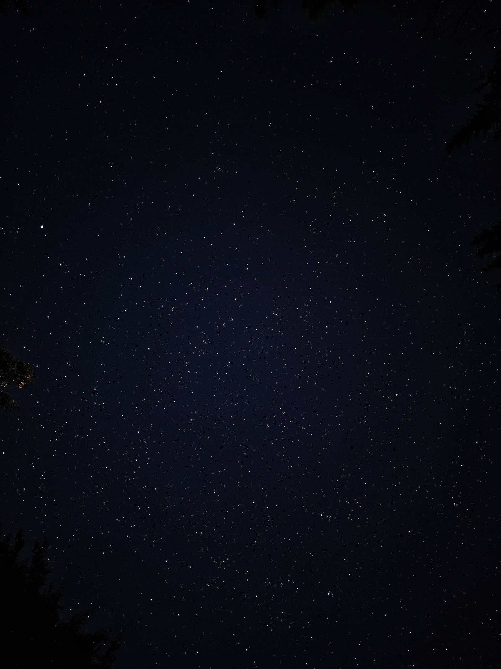 Night Sky Pfp Photos, Download The BEST Free Night Sky Pfp Stock Photos ...