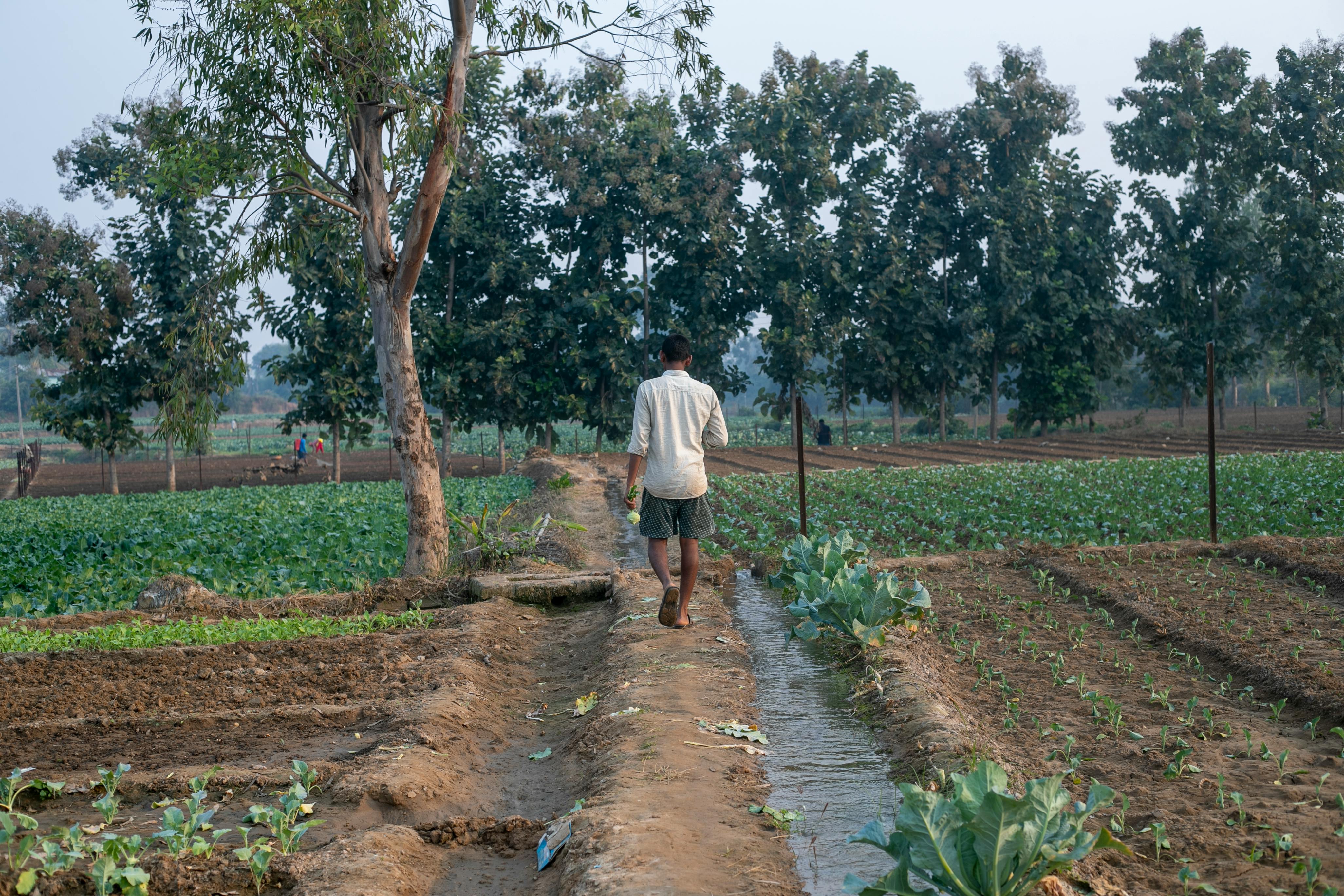 Man Walking on Field · Free Stock Photo