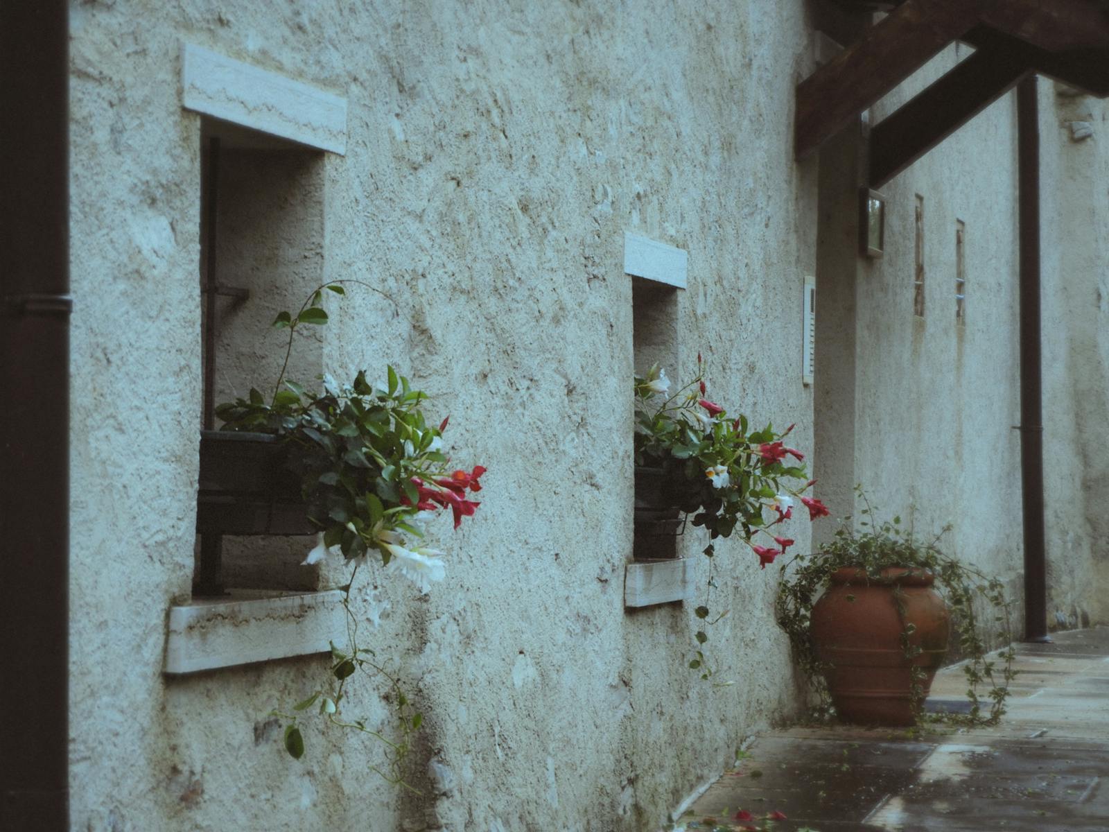 Honey Potted Photos, Download The BEST Free Honey Potted Stock Photos ...