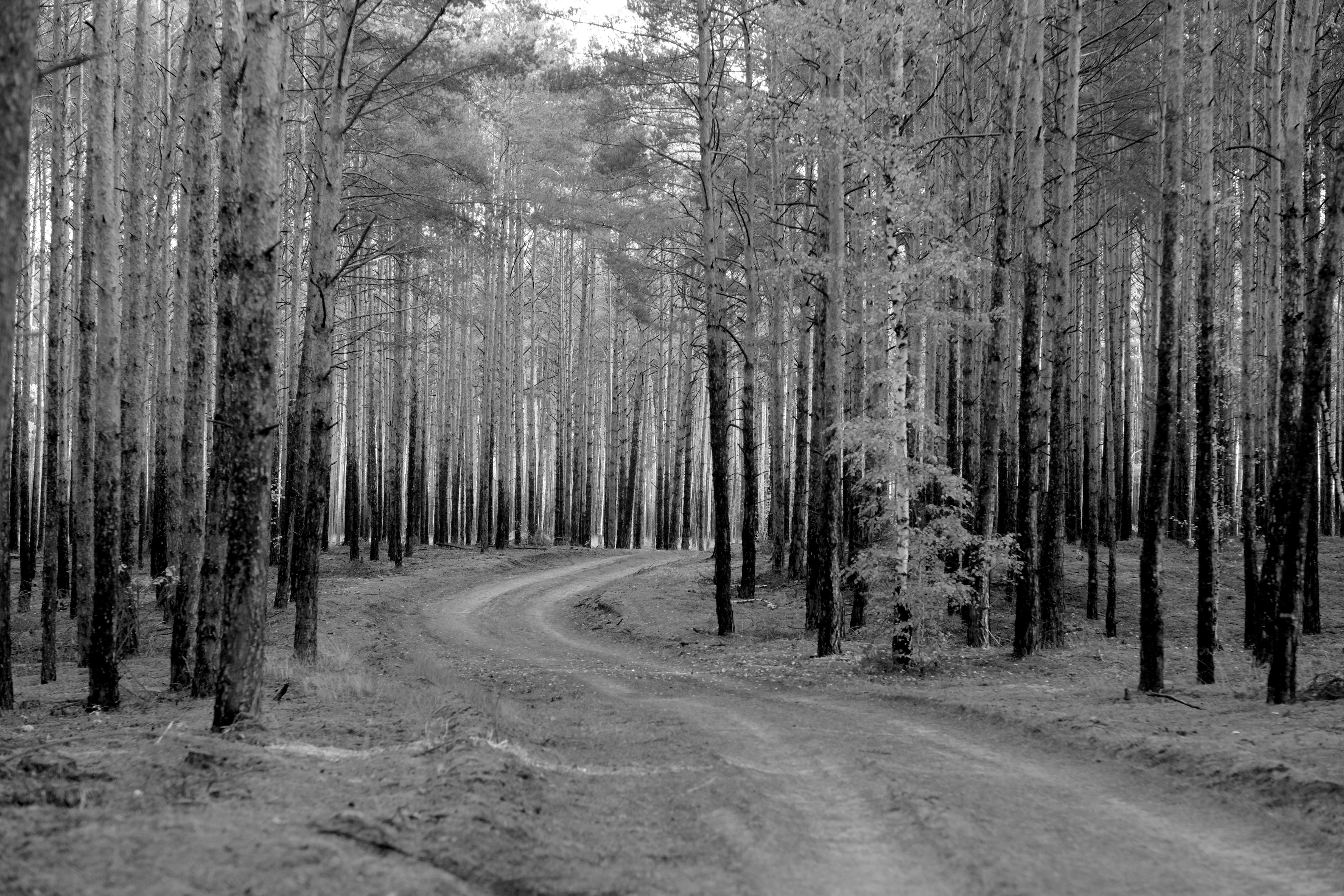 Incontinence Sheath Photos, Download The BEST Free Incontinence Sheath ...