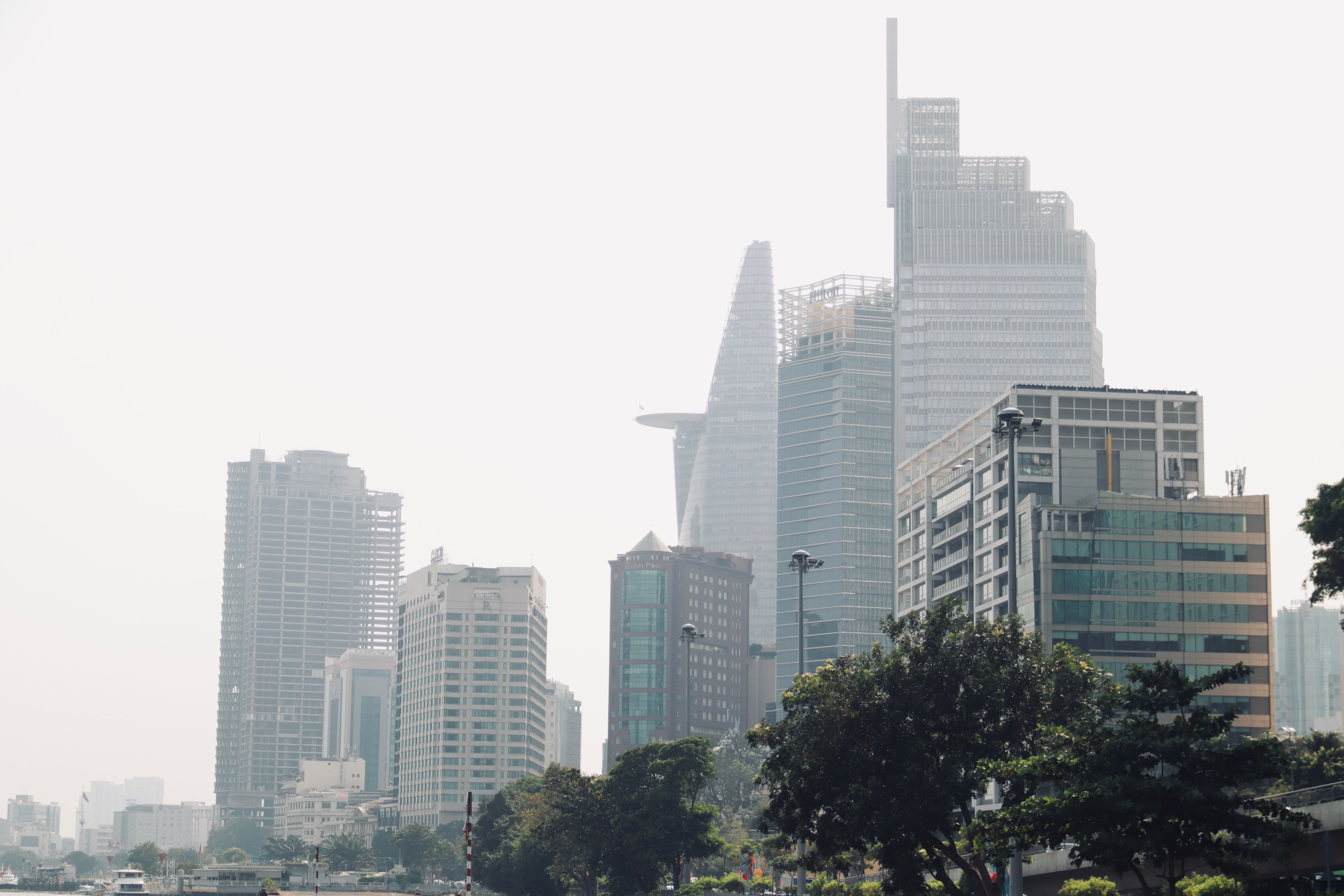 Growth Of Cities Photos, Download The BEST Free Growth Of Cities Stock ...