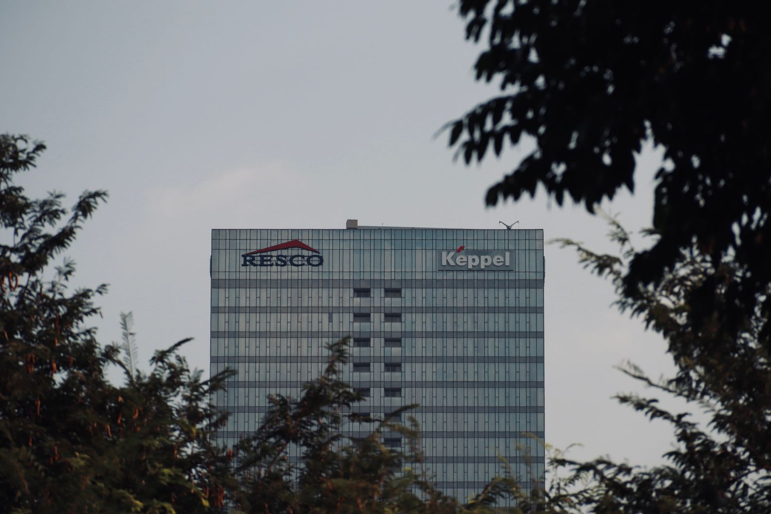 Who Owns Haleon After GSK-Pfizer Consumer Health Split?