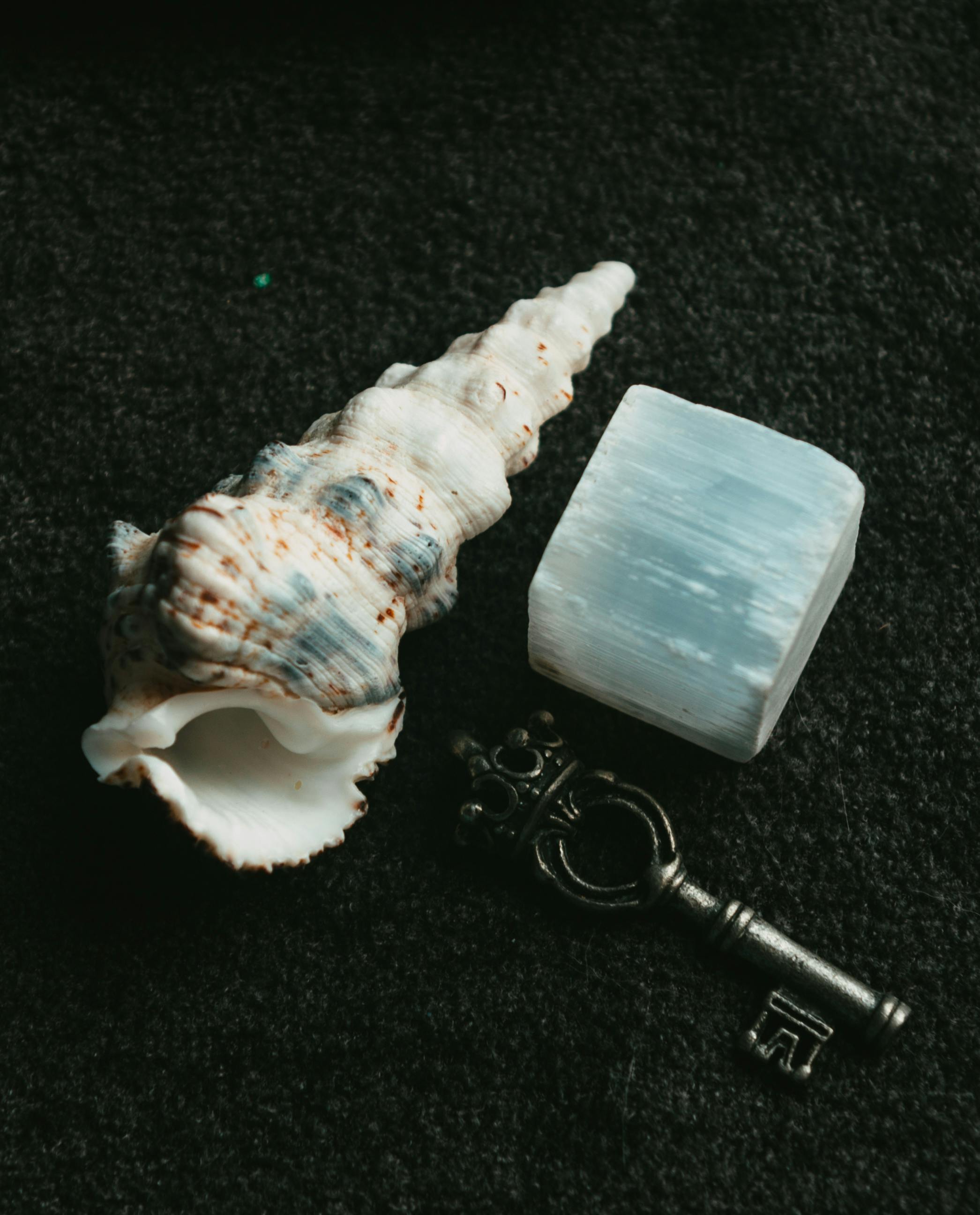 Close-up of a Seashell, a Cube and a Key · Free Stock Photo