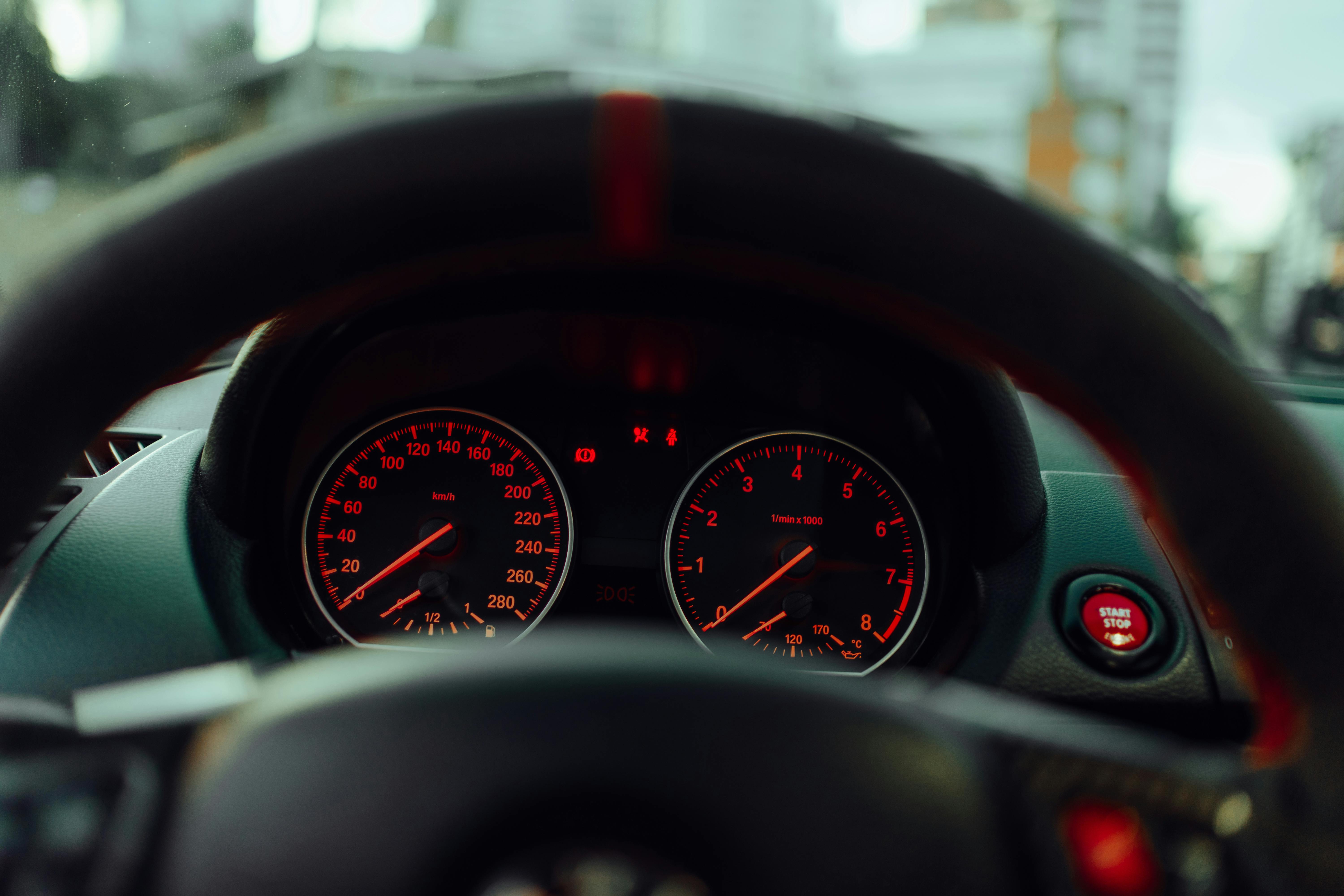 Speedo Photos, Download The BEST Free Speedo Stock Photos & HD Images