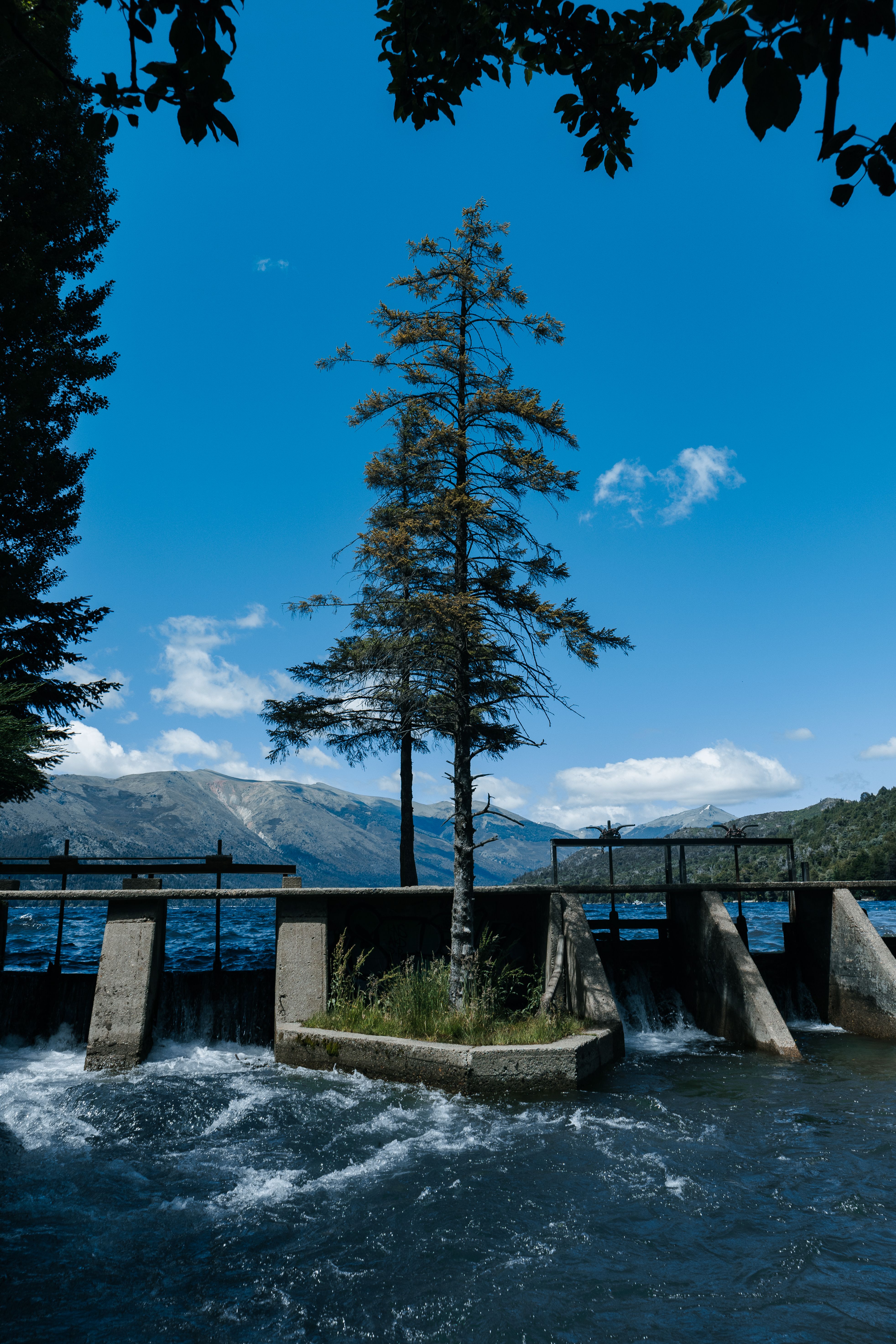 Landscape with Trees and a Dam on a River · Free Stock Photo