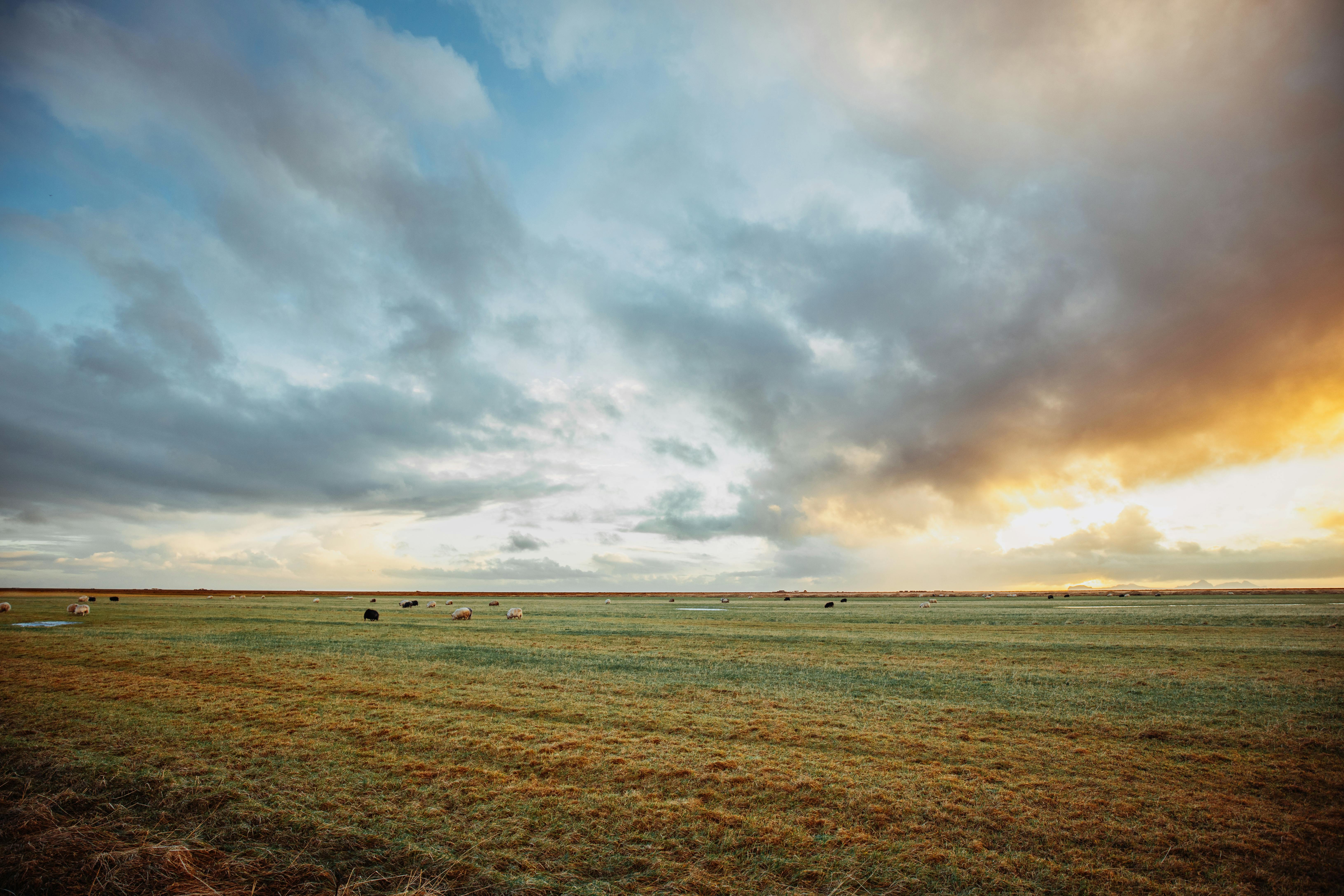 Storm Clouds over Field During Sunset · Free Stock Photo