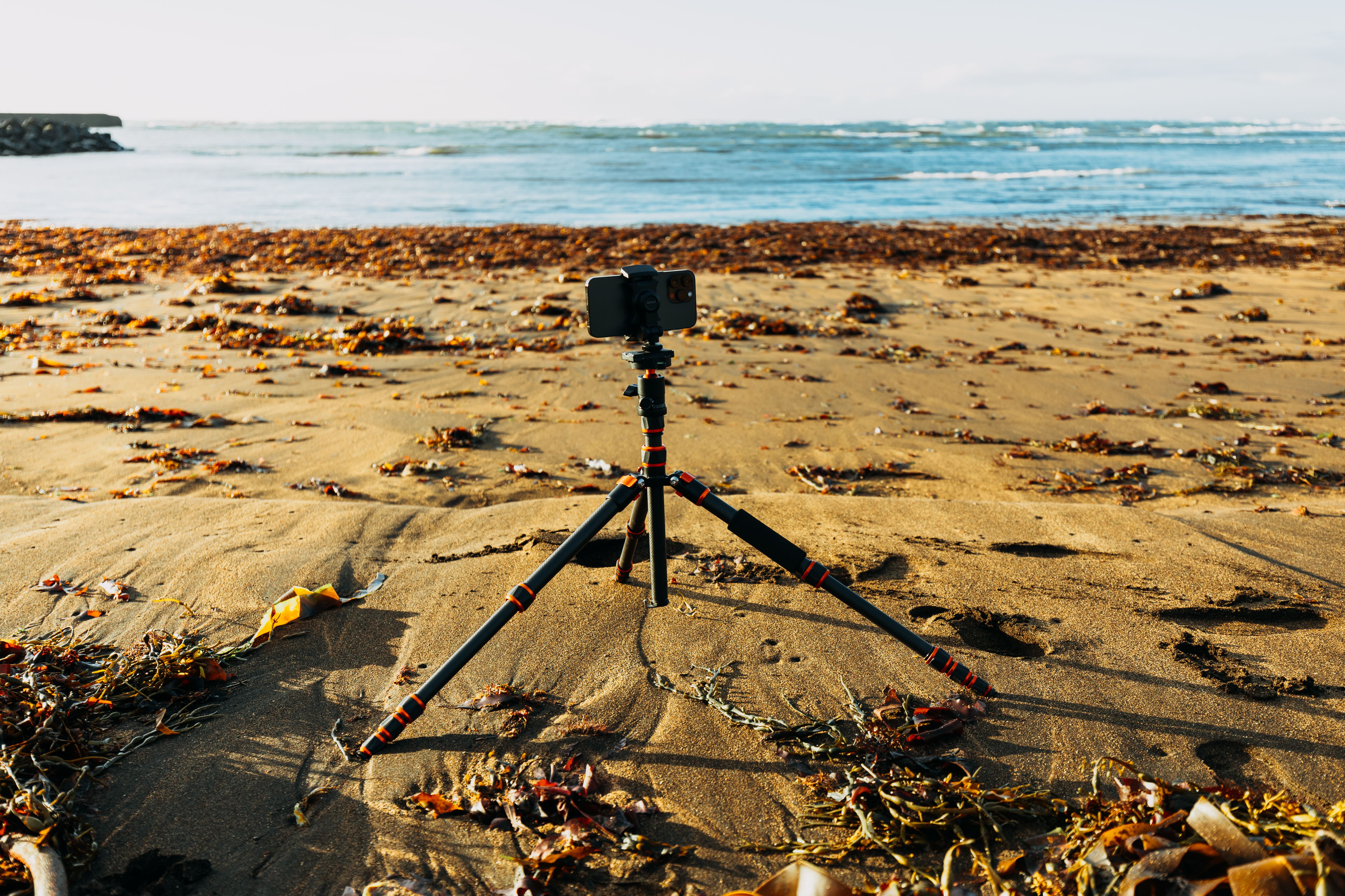 Tripod on a Beach · Free Stock Photo