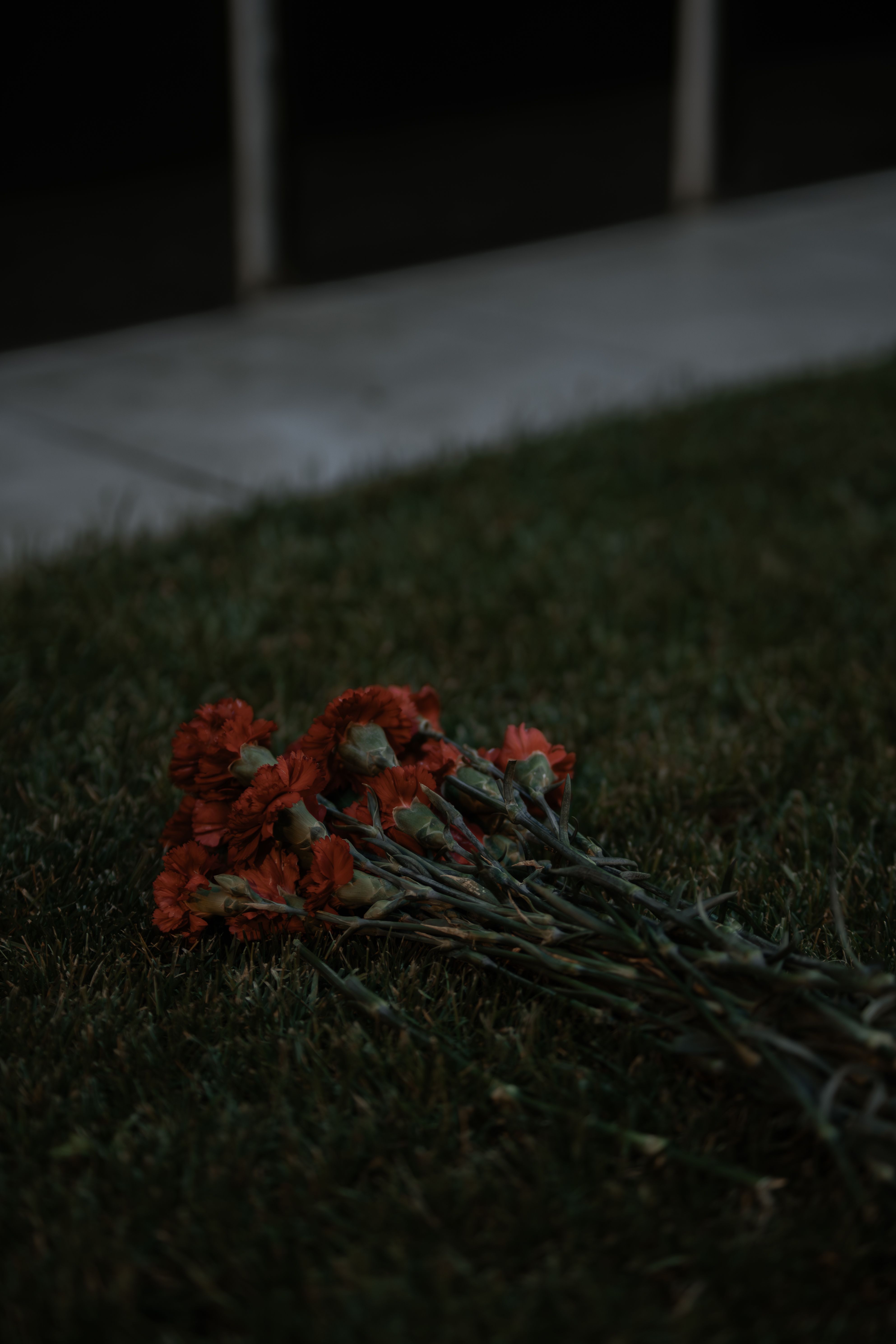 Flowers Lying Down on Grass · Free Stock Photo