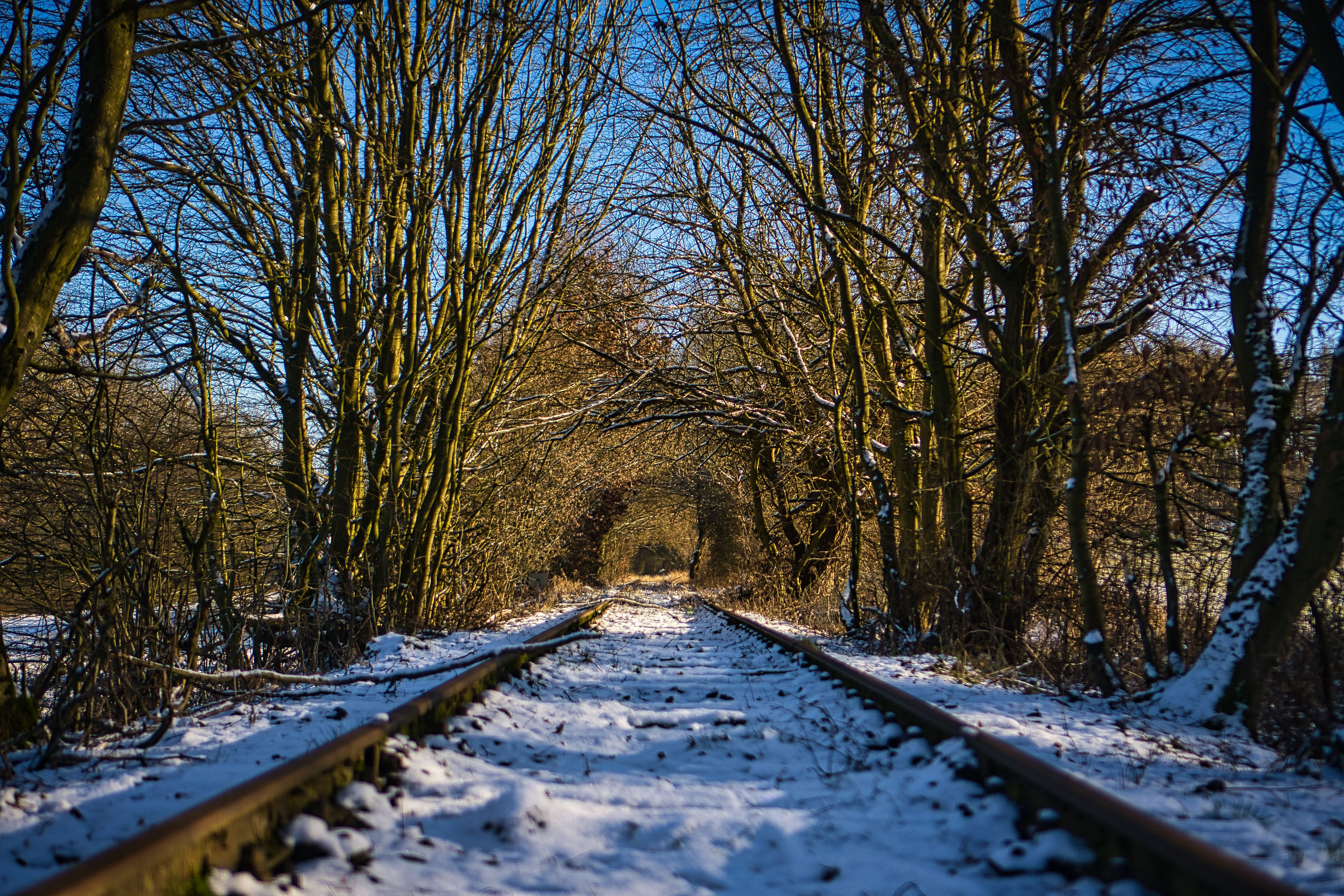 Bahnschienen im Winter · Free Stock Photo