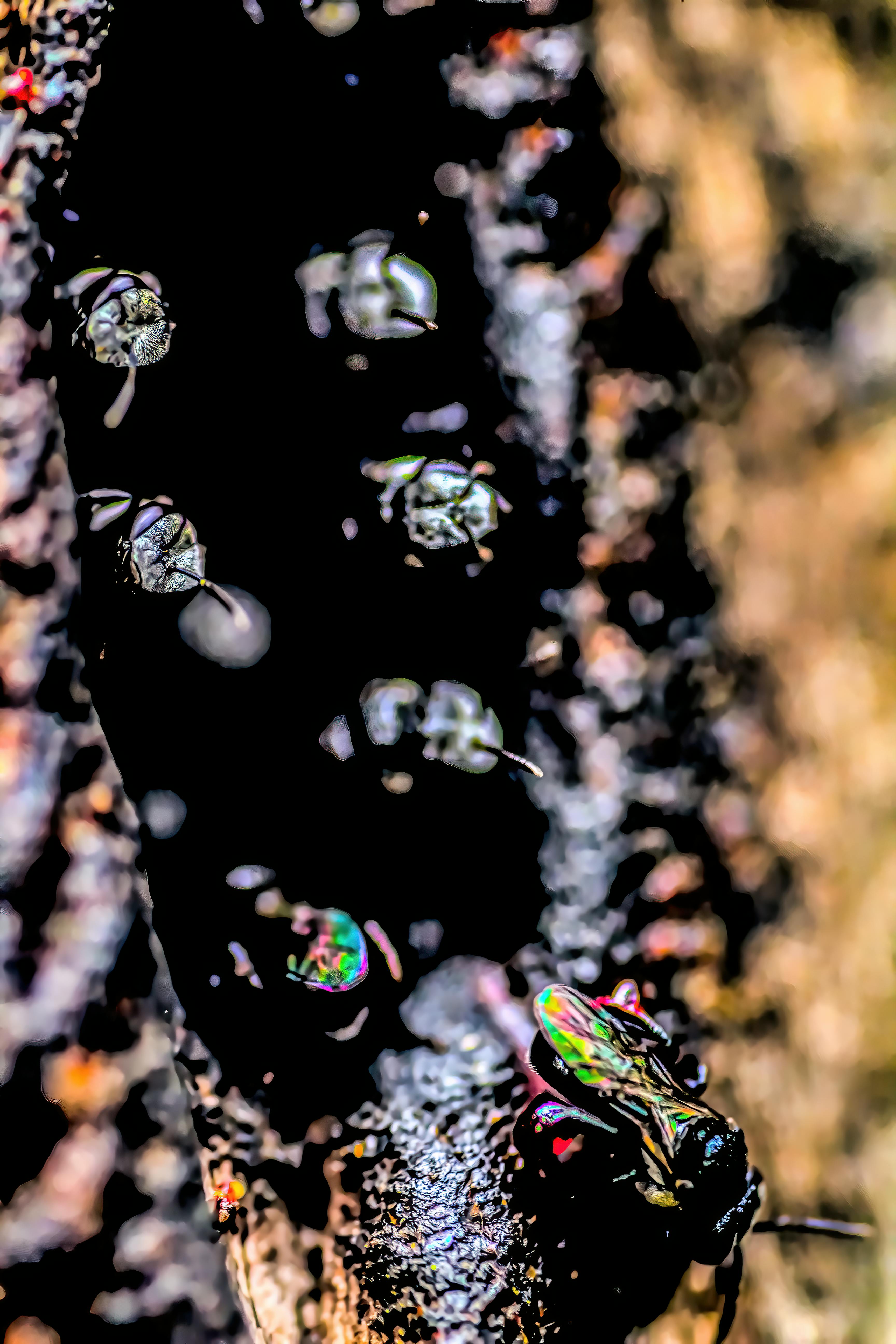 Elliot Connor - Photography