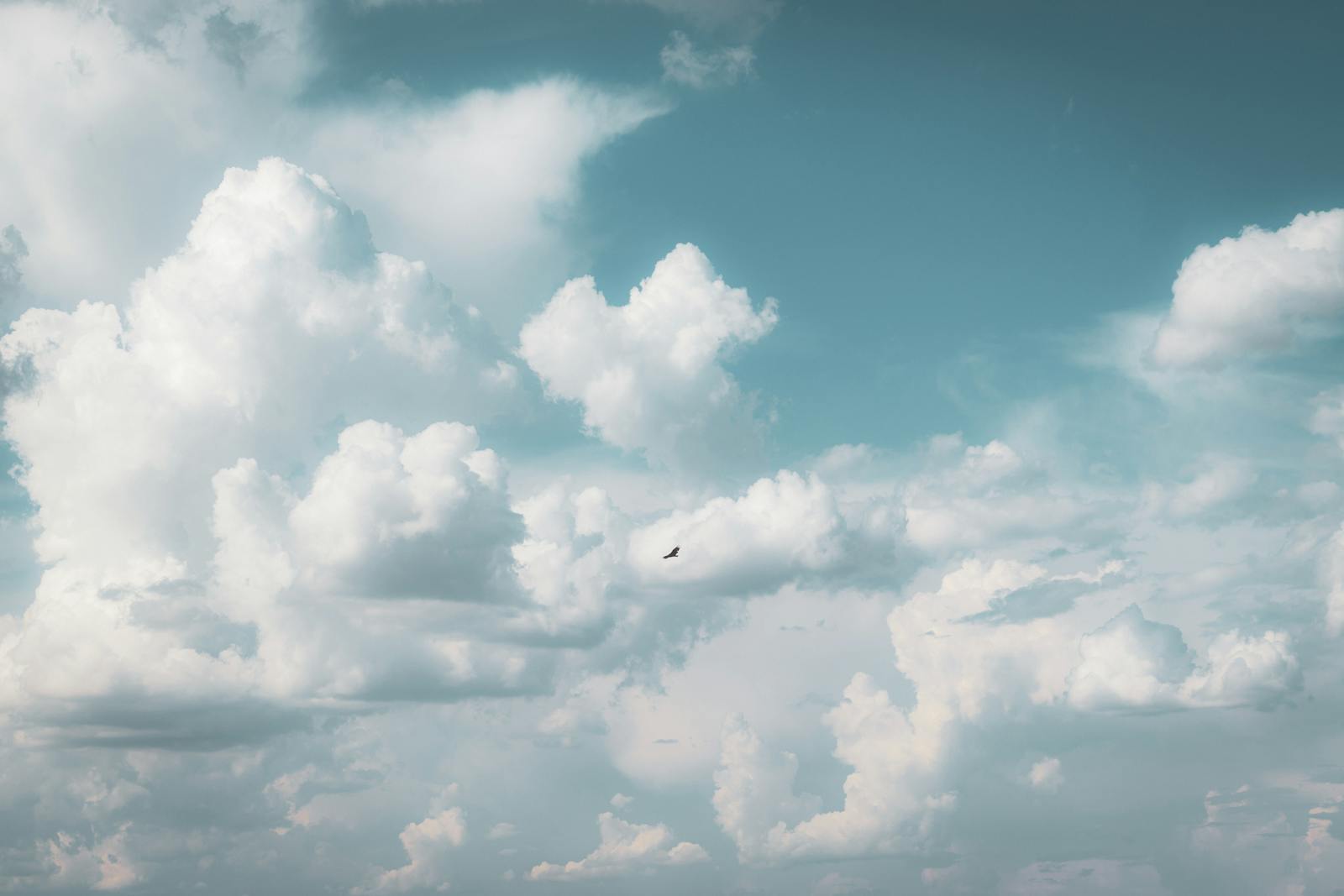 Animated Sky Photos, Download The BEST Free Animated Sky Stock Photos ...