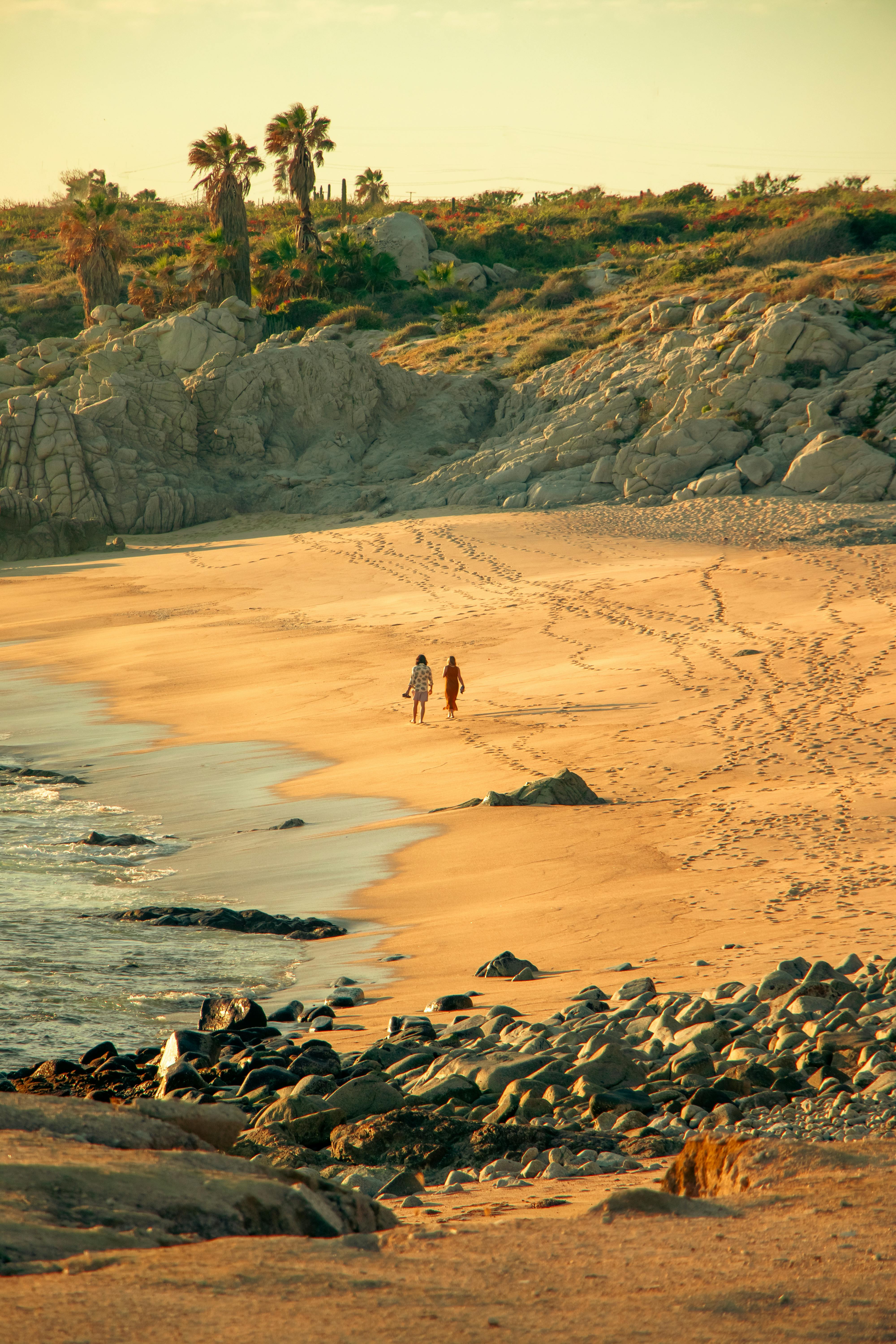 People Walking on Beach · Free Stock Photo