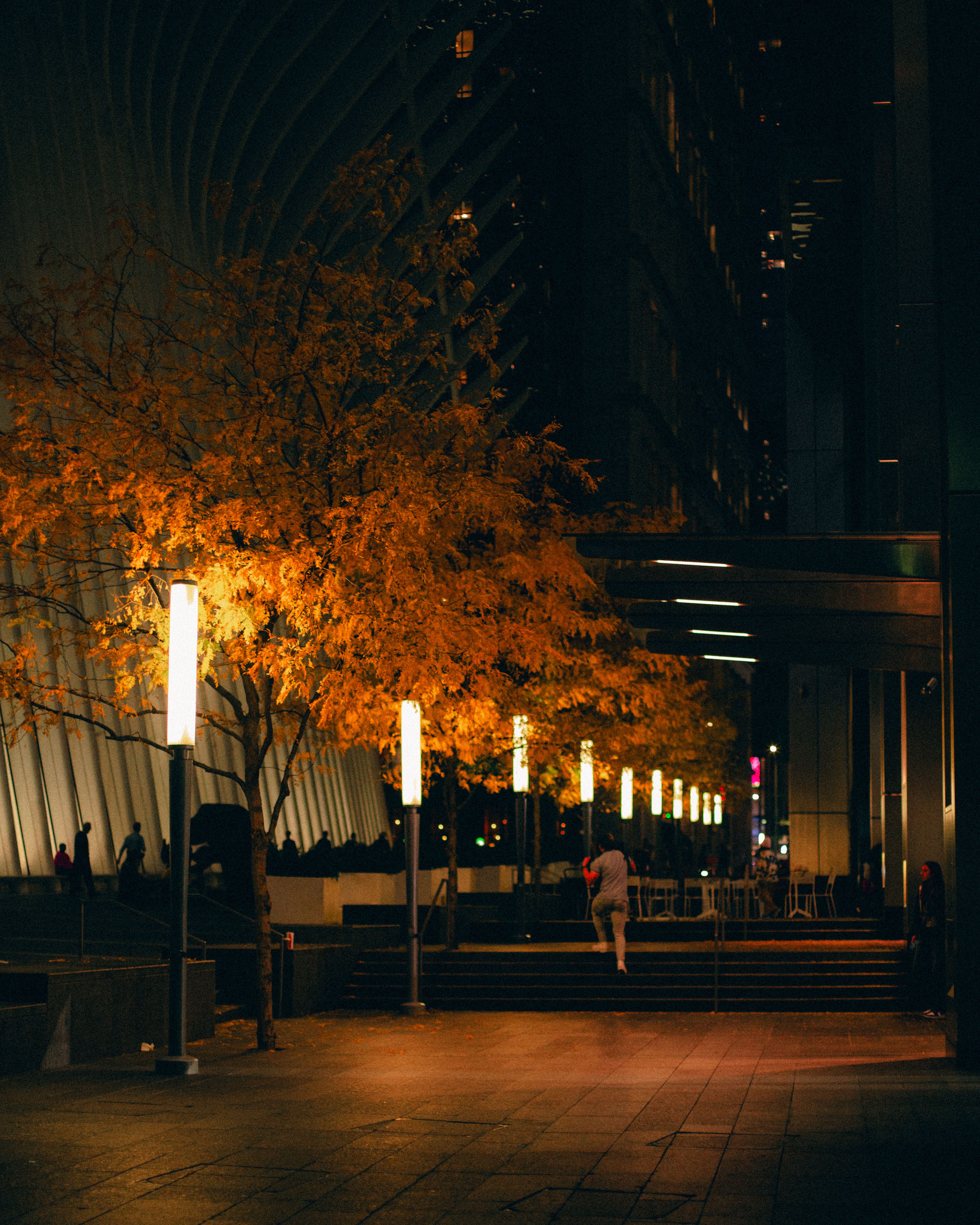 Streetlights in Downtown · Free Stock Photo