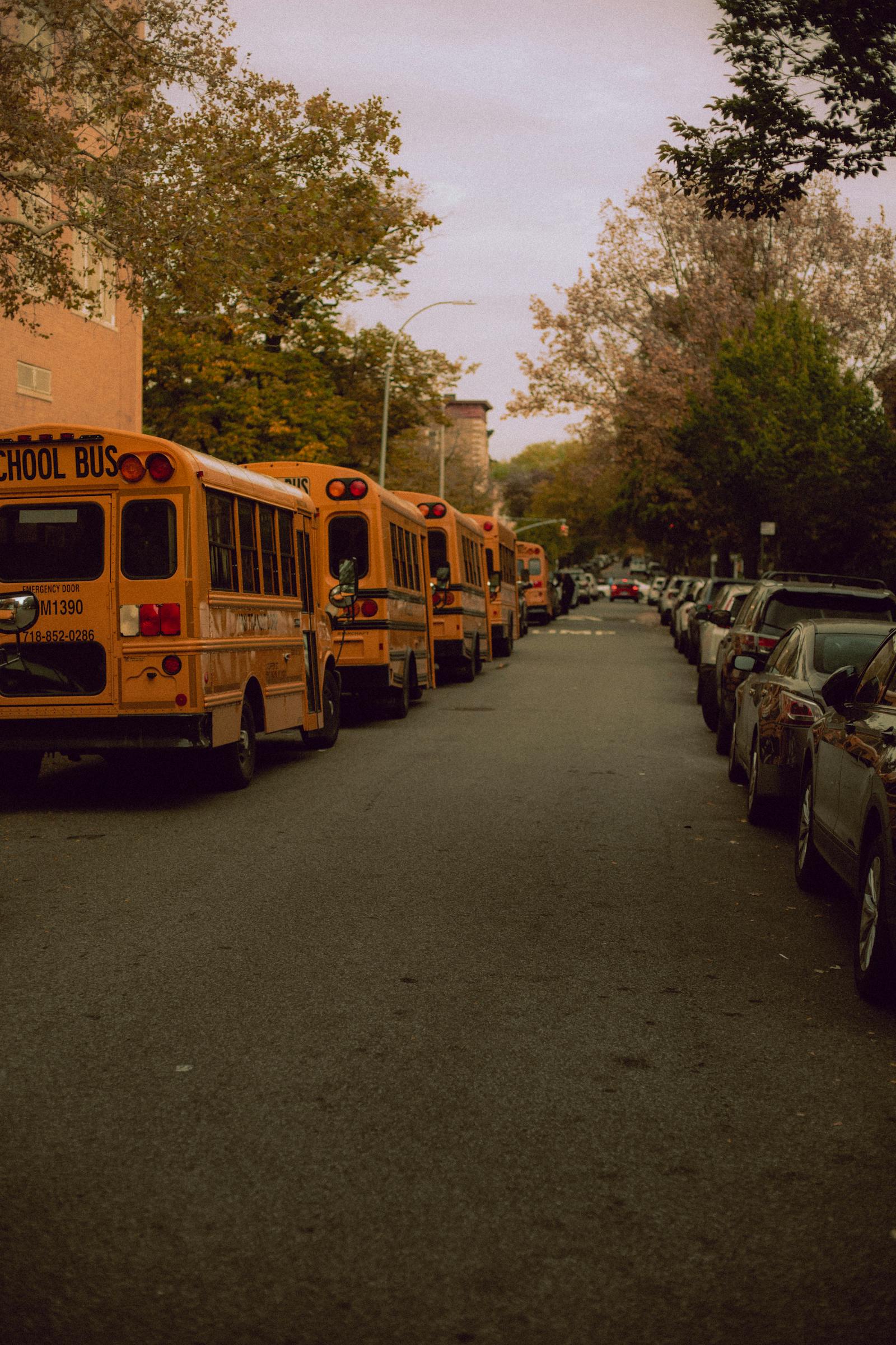 School Buses Photos, Download The BEST Free School Buses Stock Photos ...