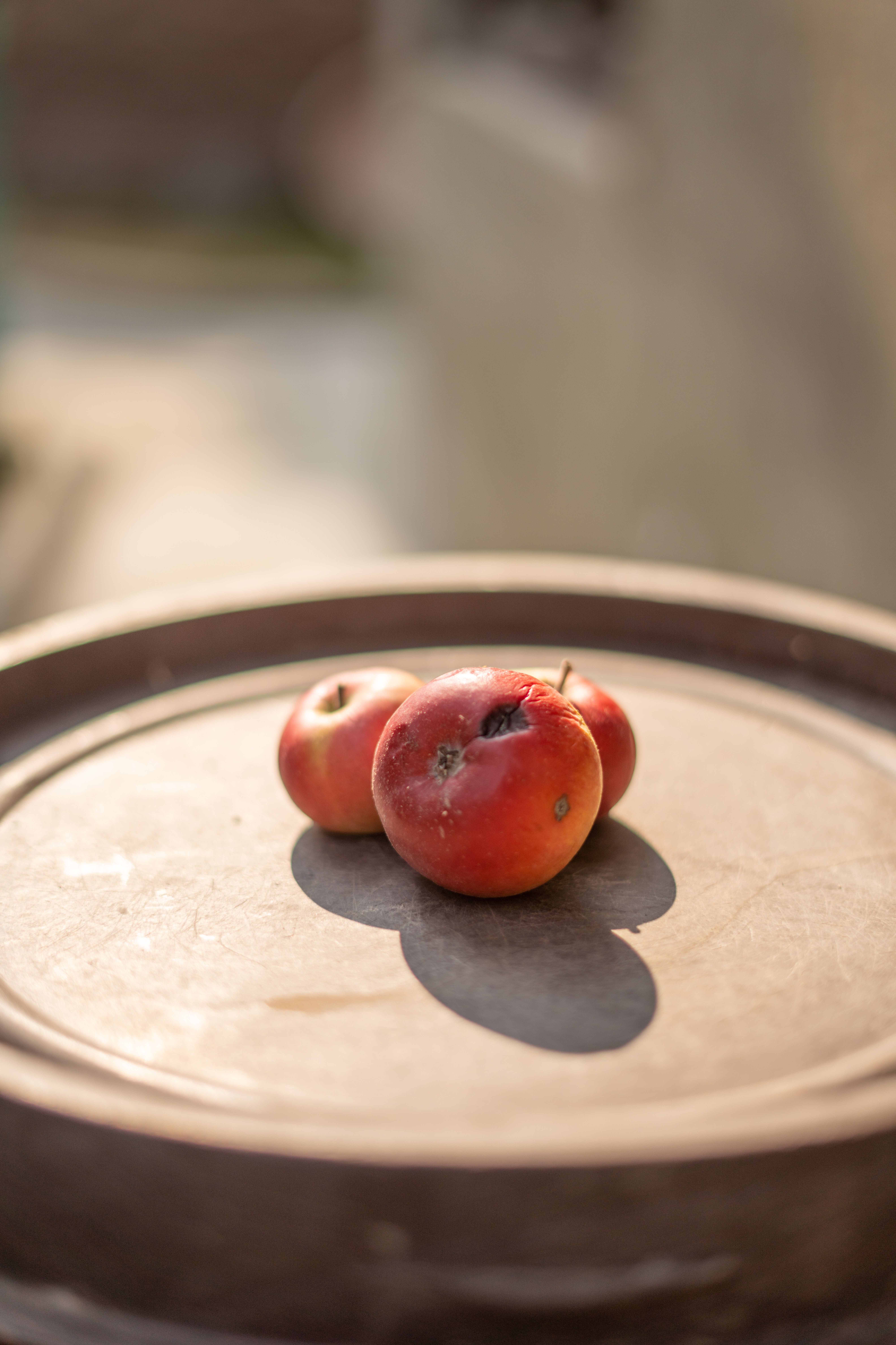 Indian Apples Photos, Download The BEST Free Indian Apples Stock Photos ...