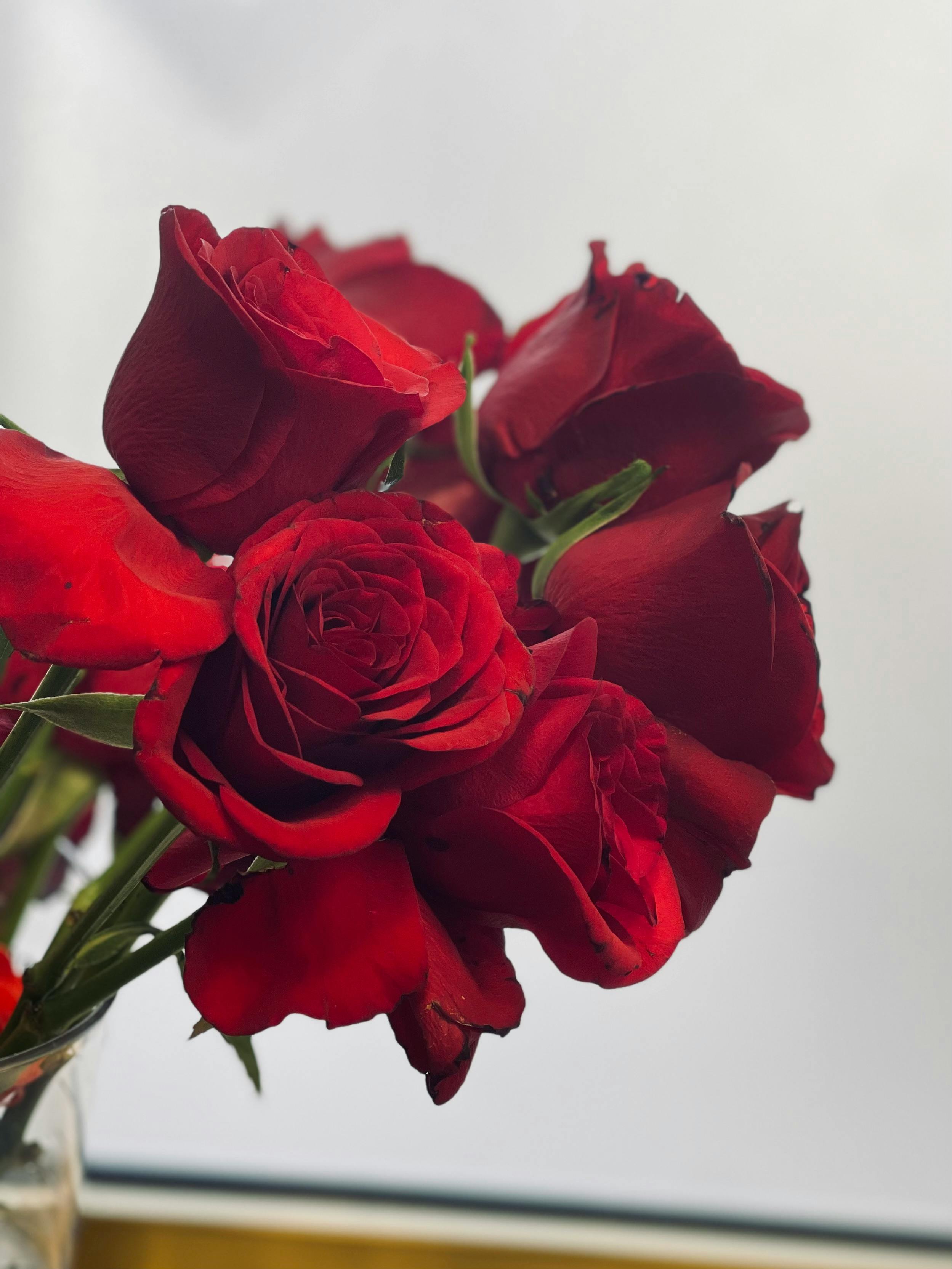 Swarup Sarkar - Photography