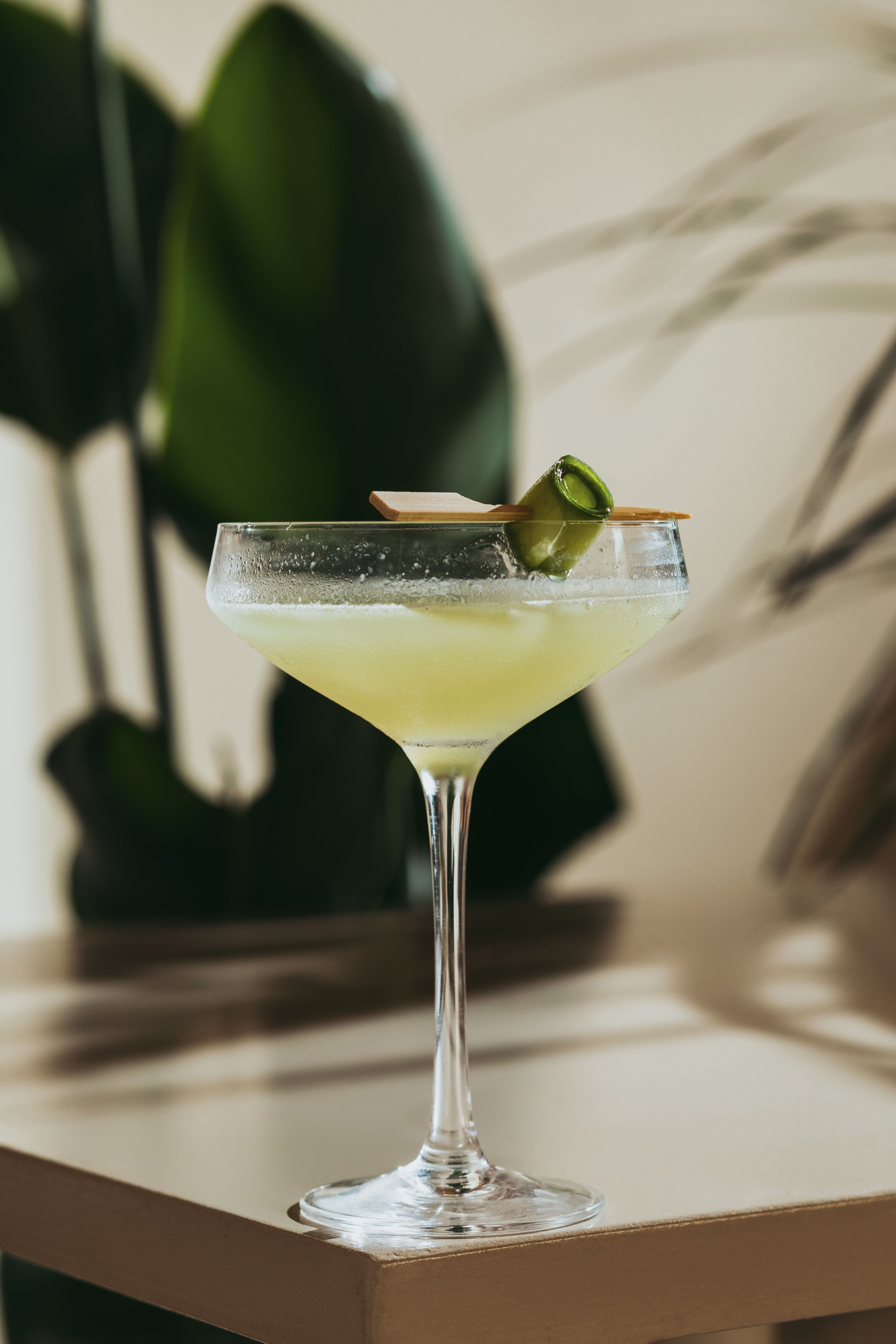 Close-Up Photo of Martini in Cocktail Glass · Free Stock Photo