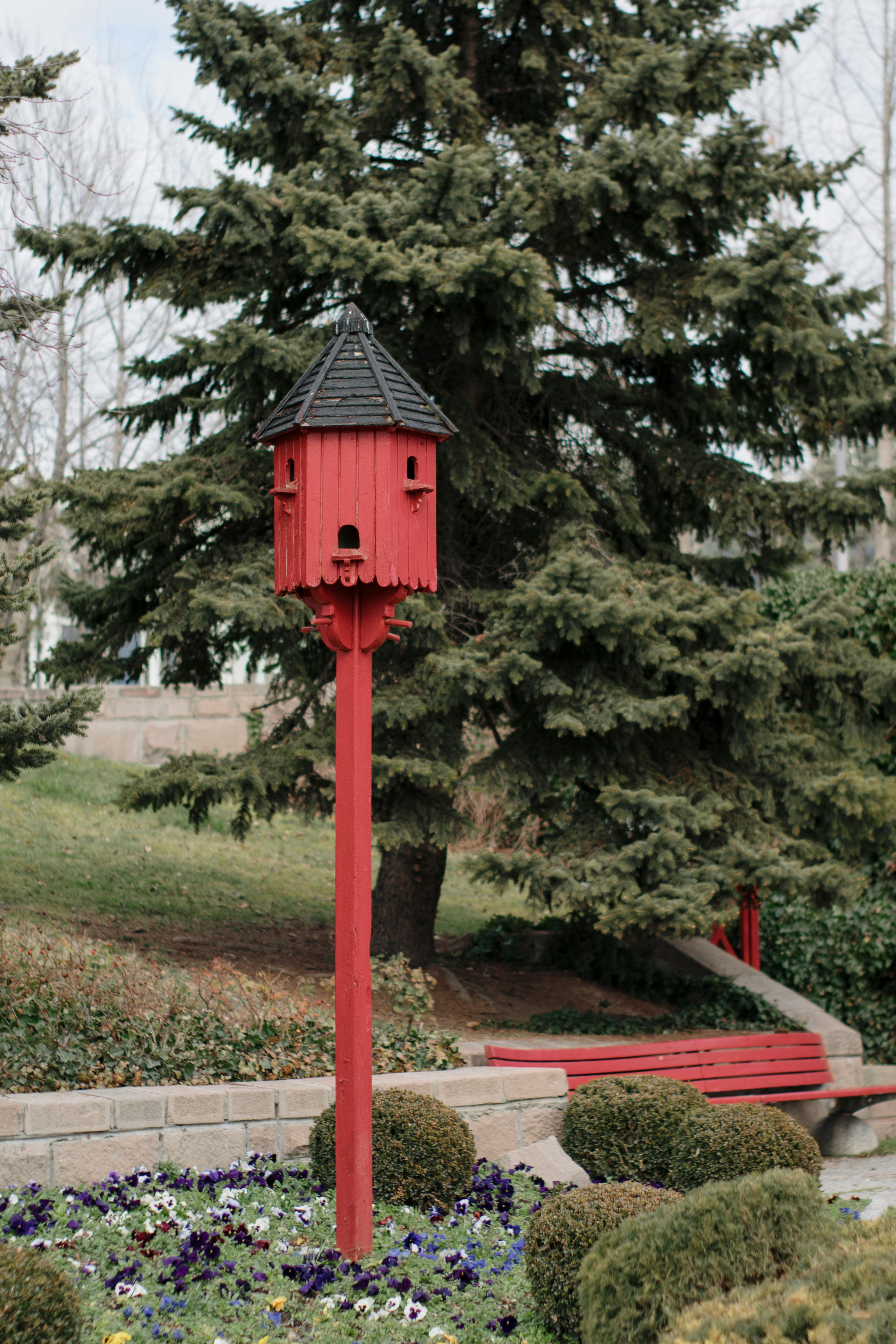 Red Birdhouse in Park · Free Stock Photo