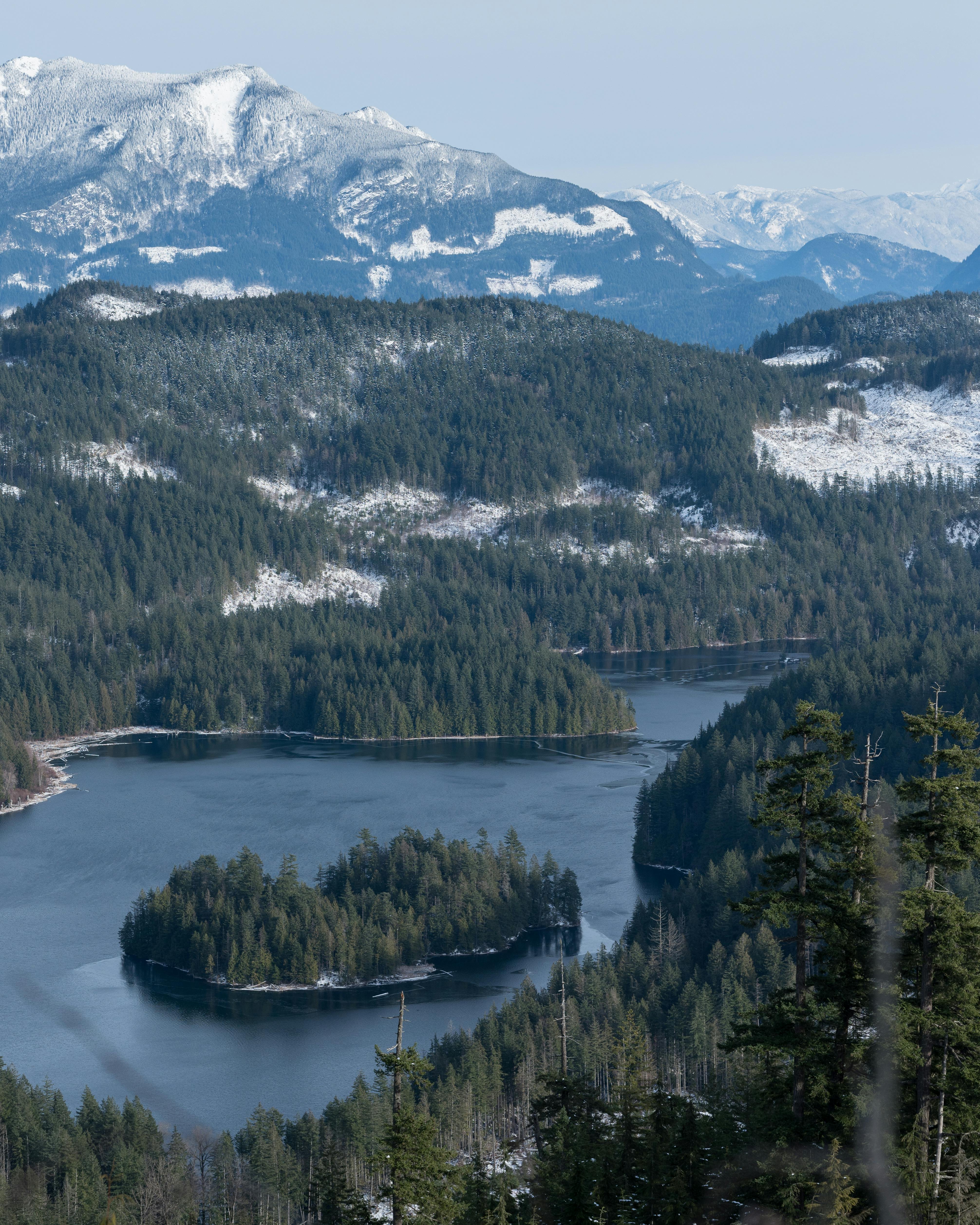 Deep, Evergreen Forest and with Lake and Island · Free Stock Photo