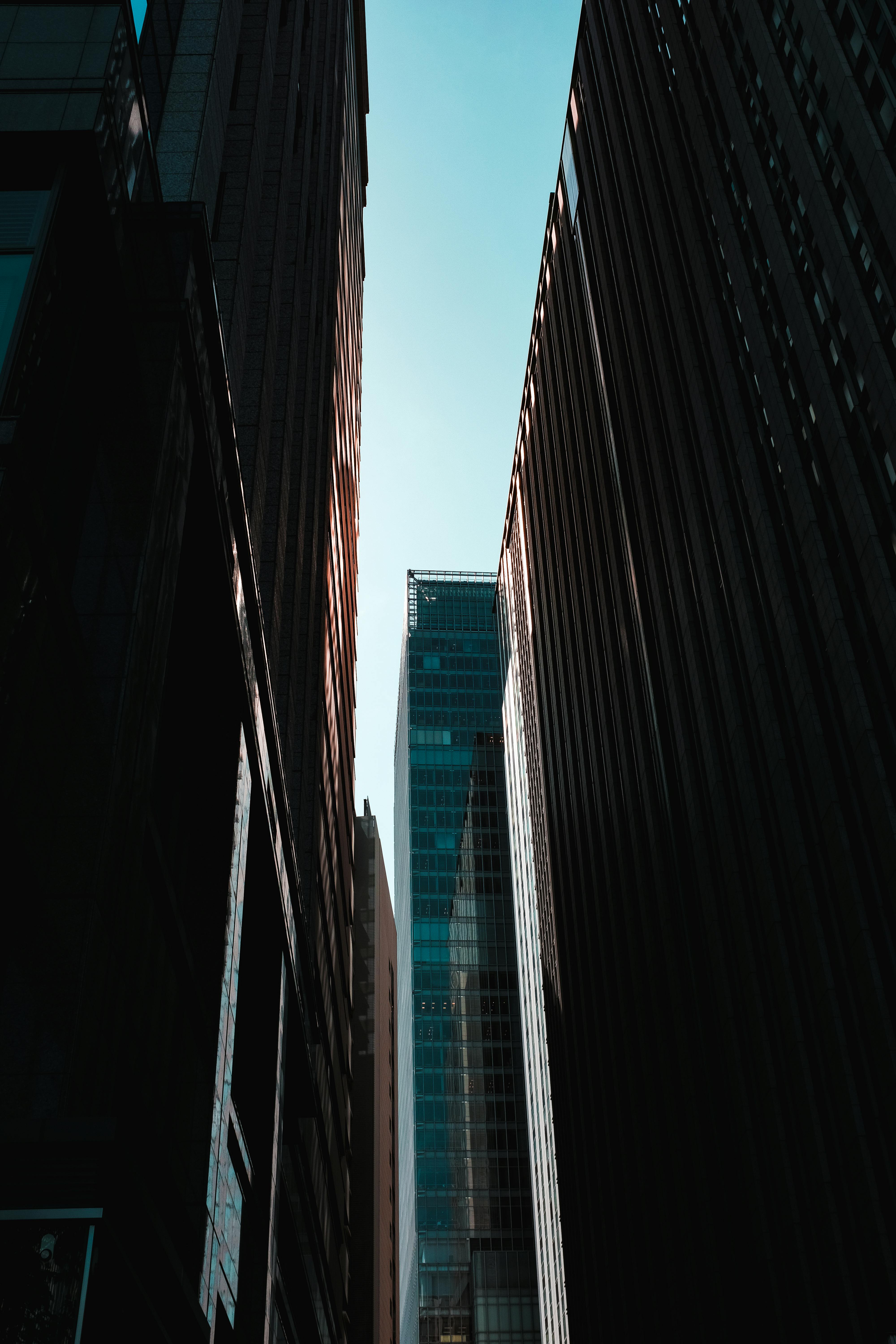 High Rise Buildings · Free Stock Photo