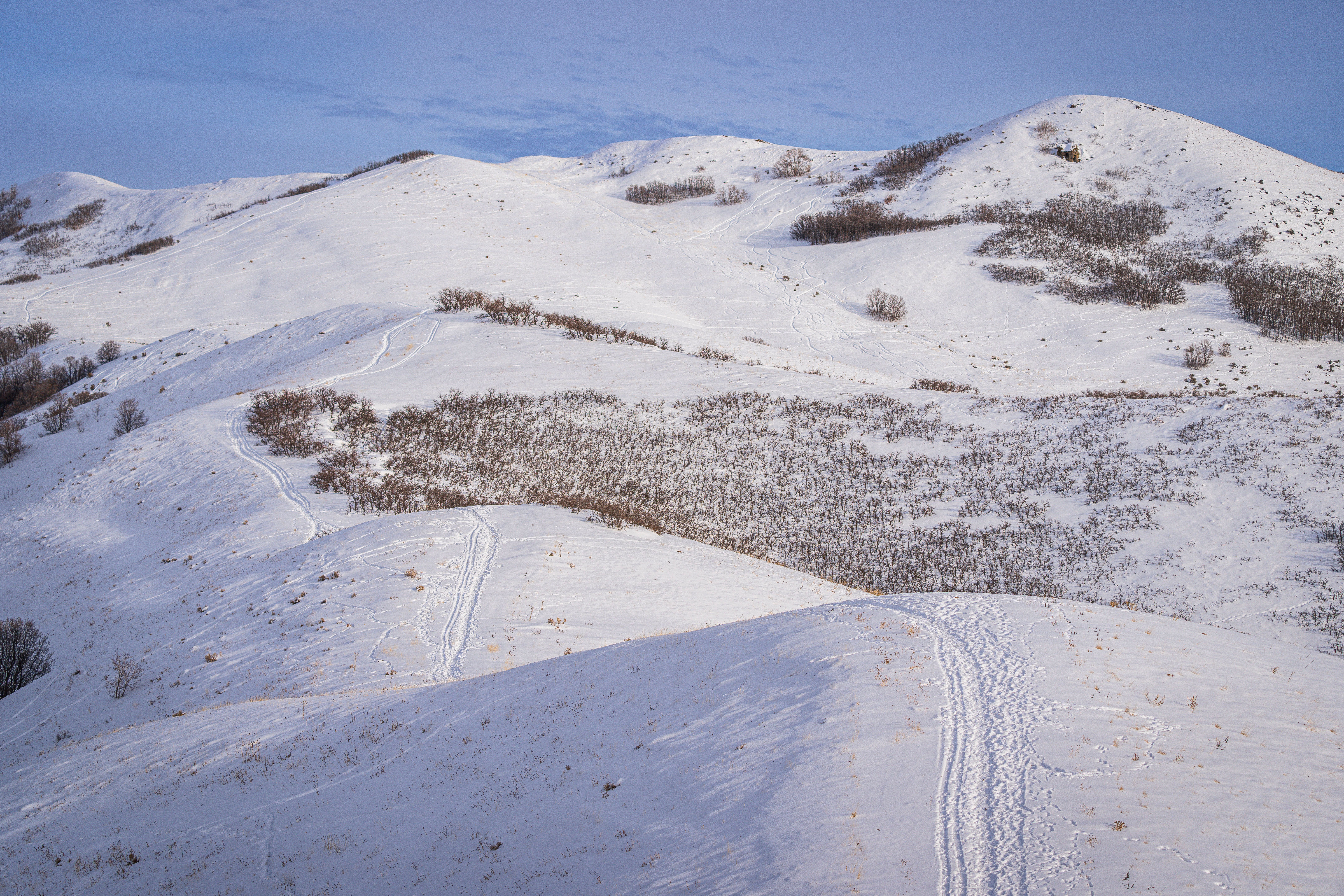 Hill in Snow · Free Stock Photo