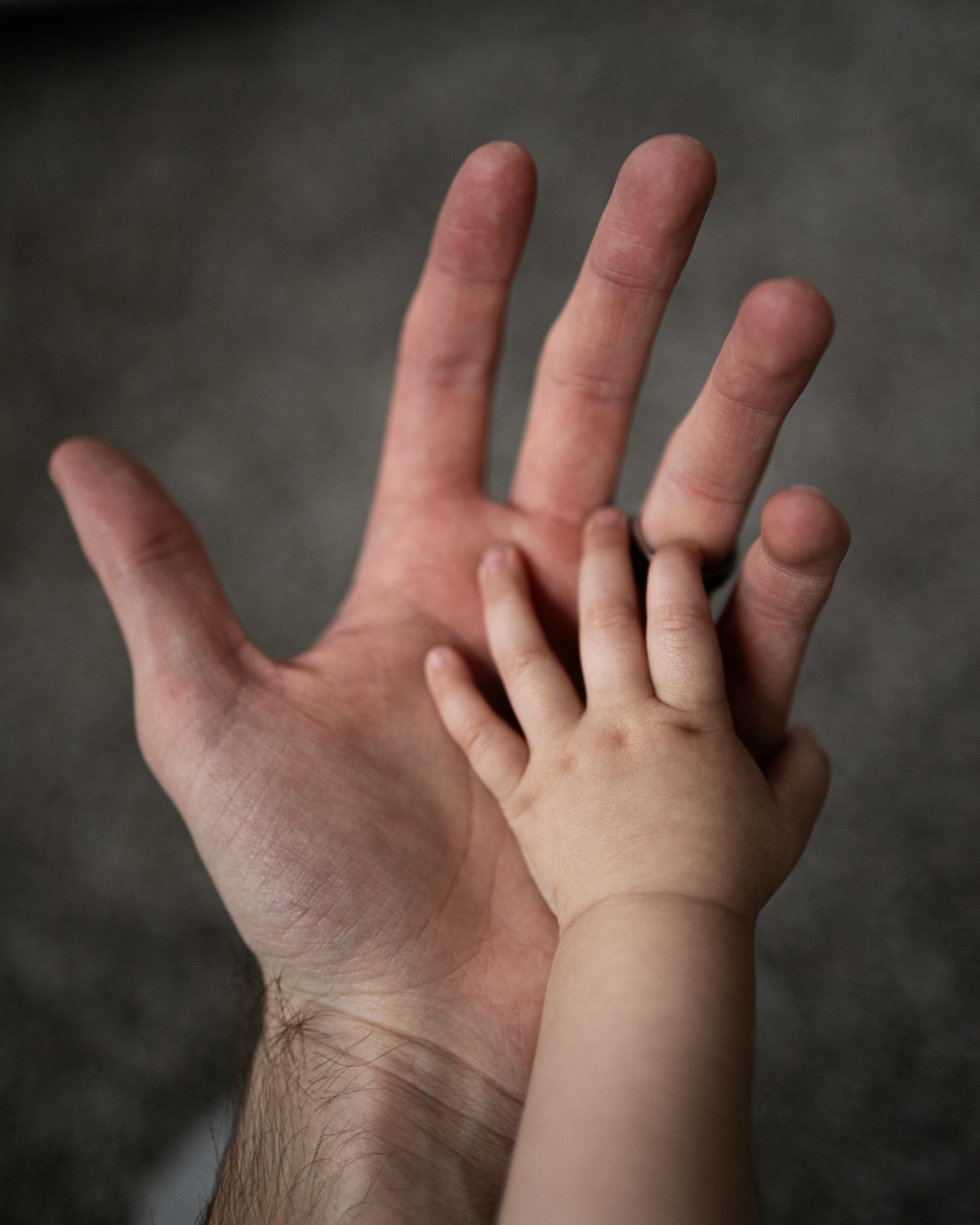 Close up of Father and Baby Hands · Free Stock Photo