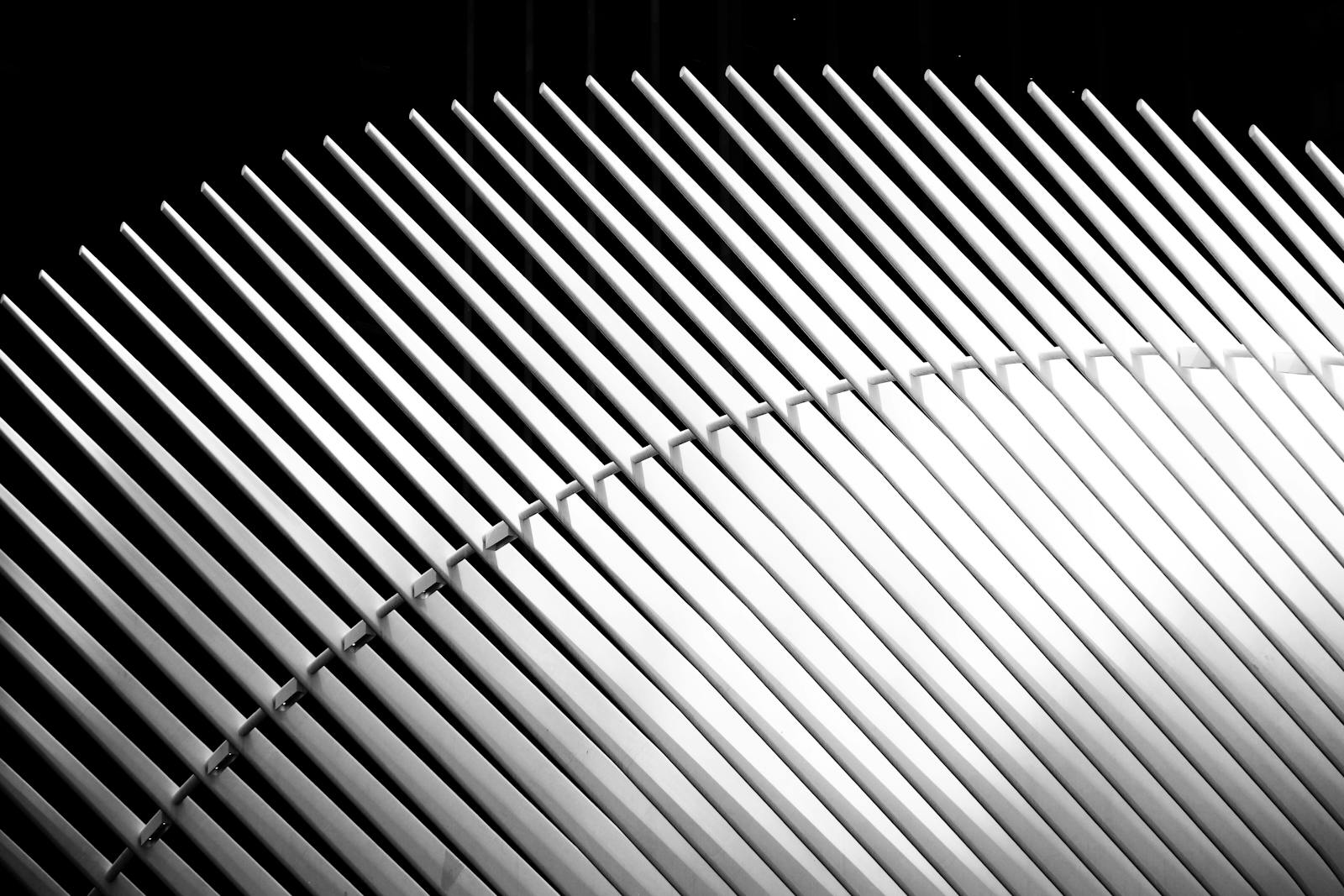 Titan Photos, Download The BEST Free Titan Stock Photos & HD Images