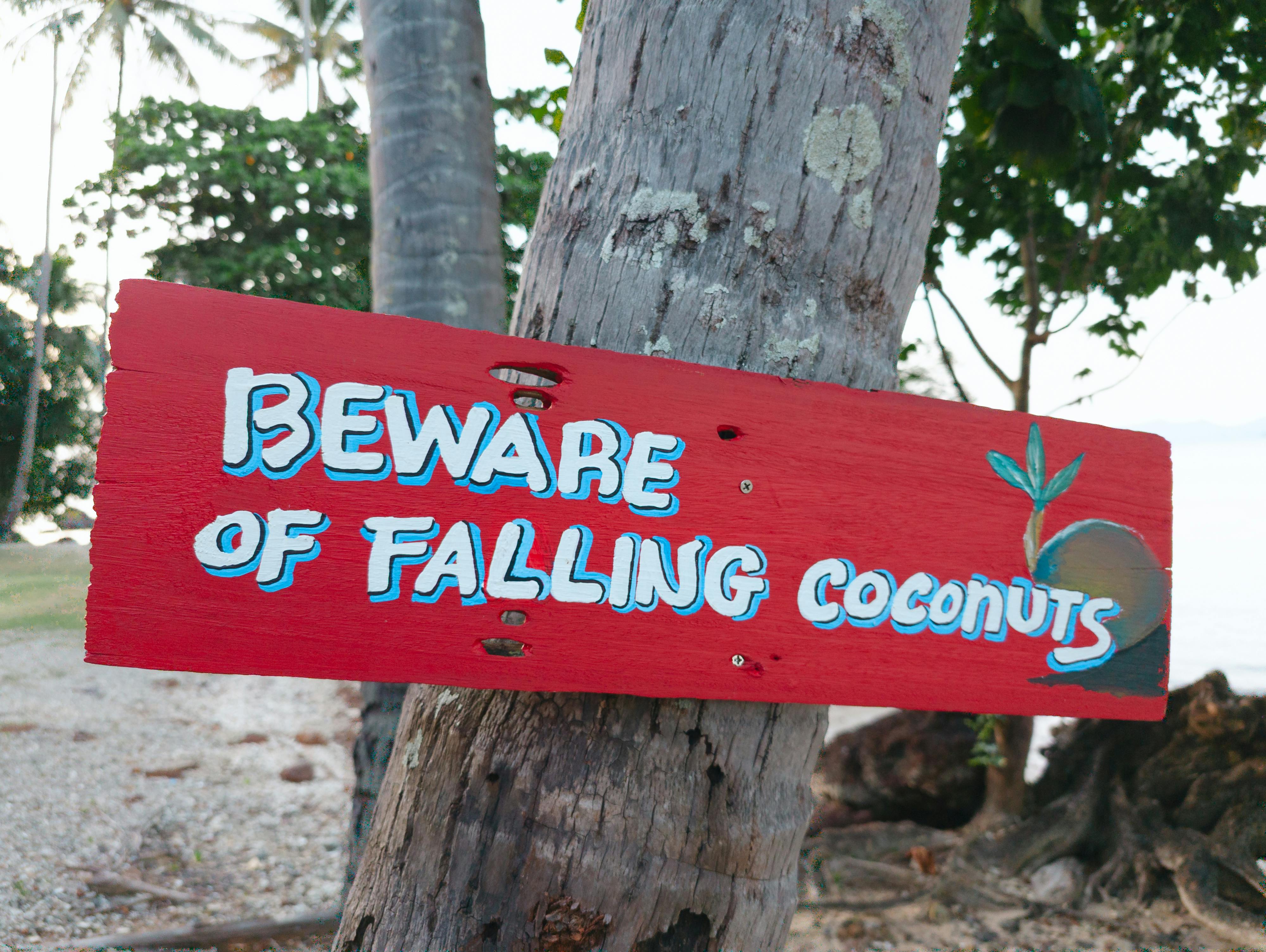 Falling Coconuts Sign Photos, Download The BEST Free Falling Coconuts ...