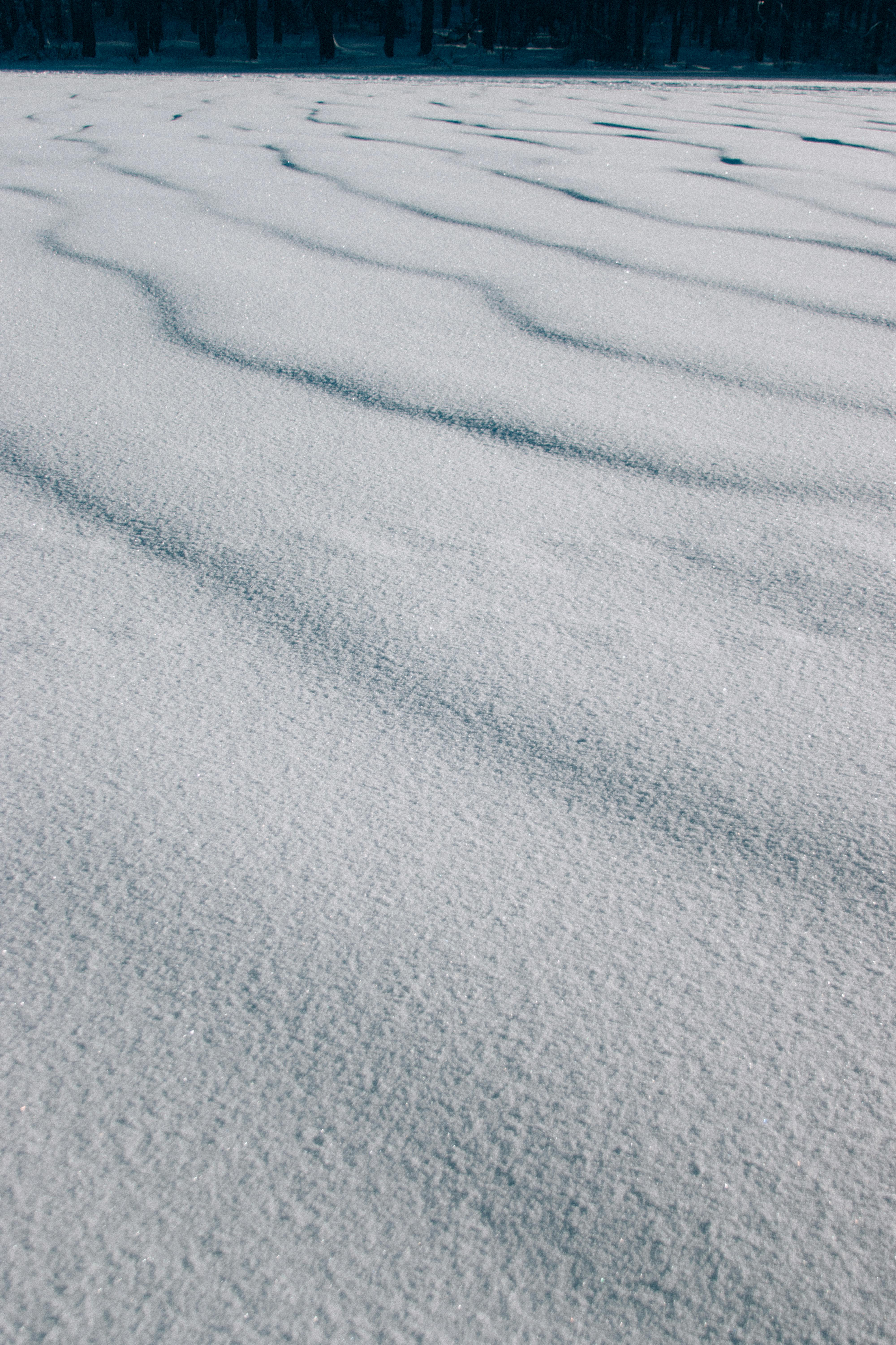 Snow on Ground · Free Stock Photo