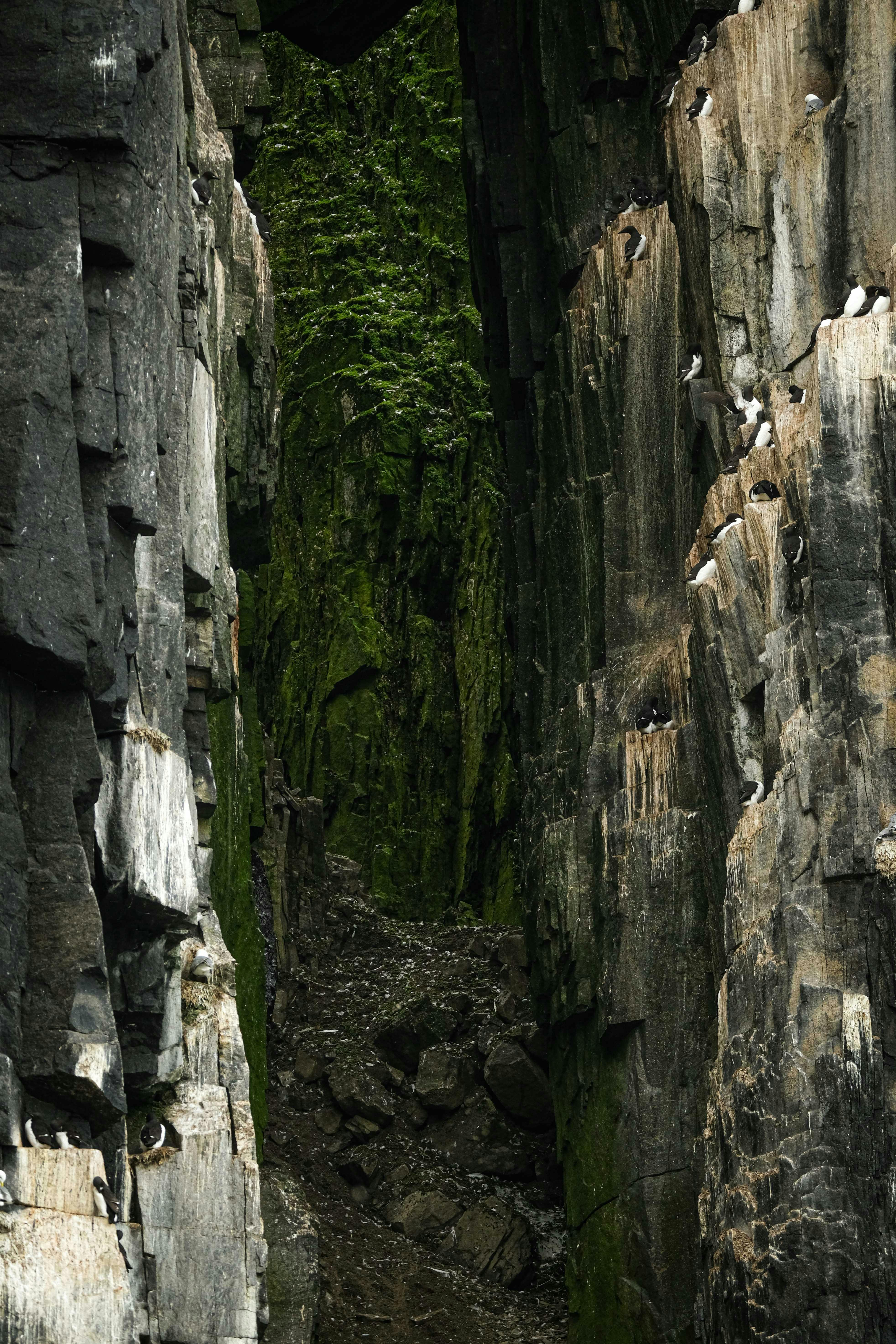 Rocks around Canyon · Free Stock Photo
