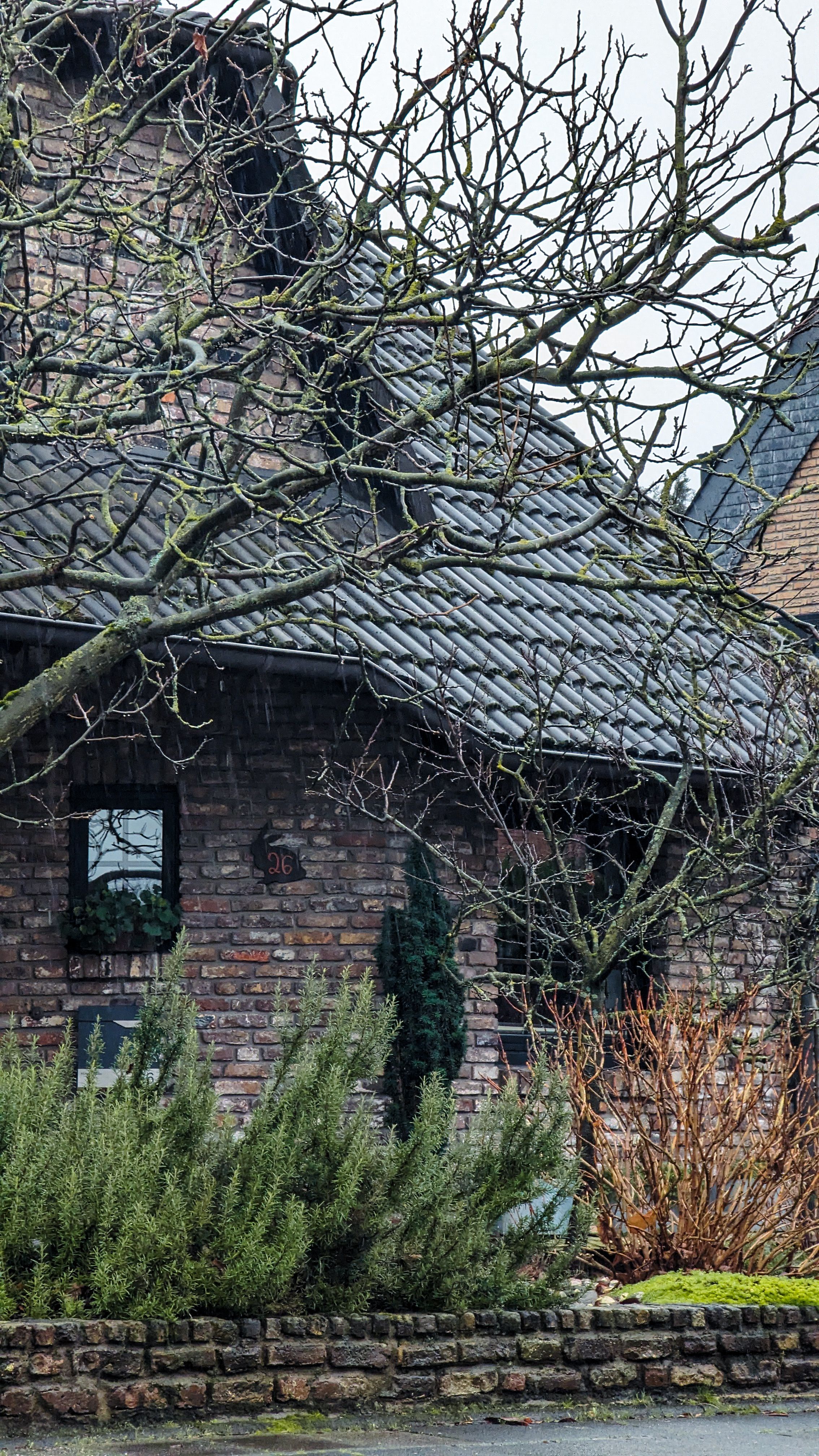 Exterior of a Stone House with Trees and Shrubs in the Front · Free ...