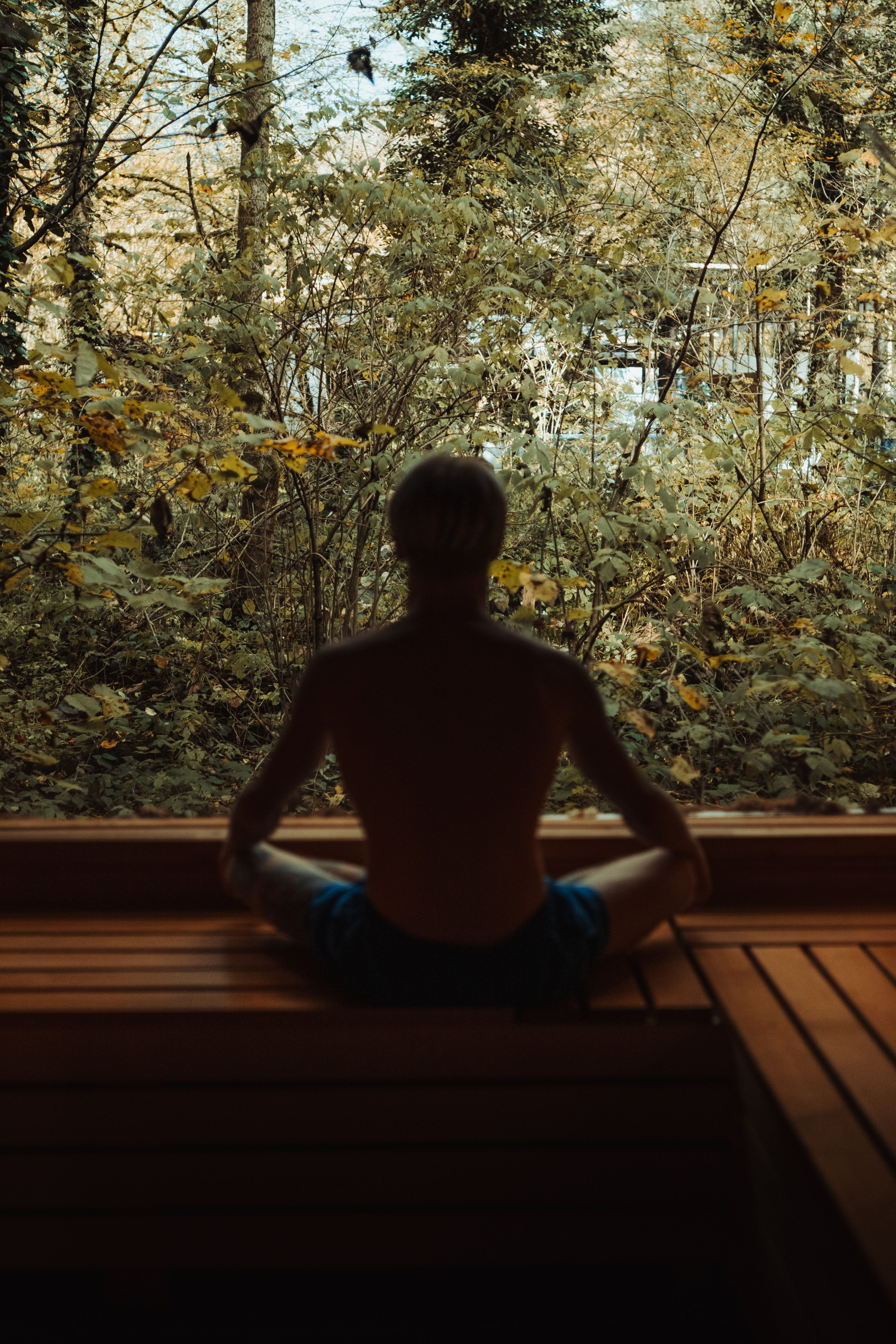 Back View of Man Sitting and Meditating in Forest · Free Stock Photo