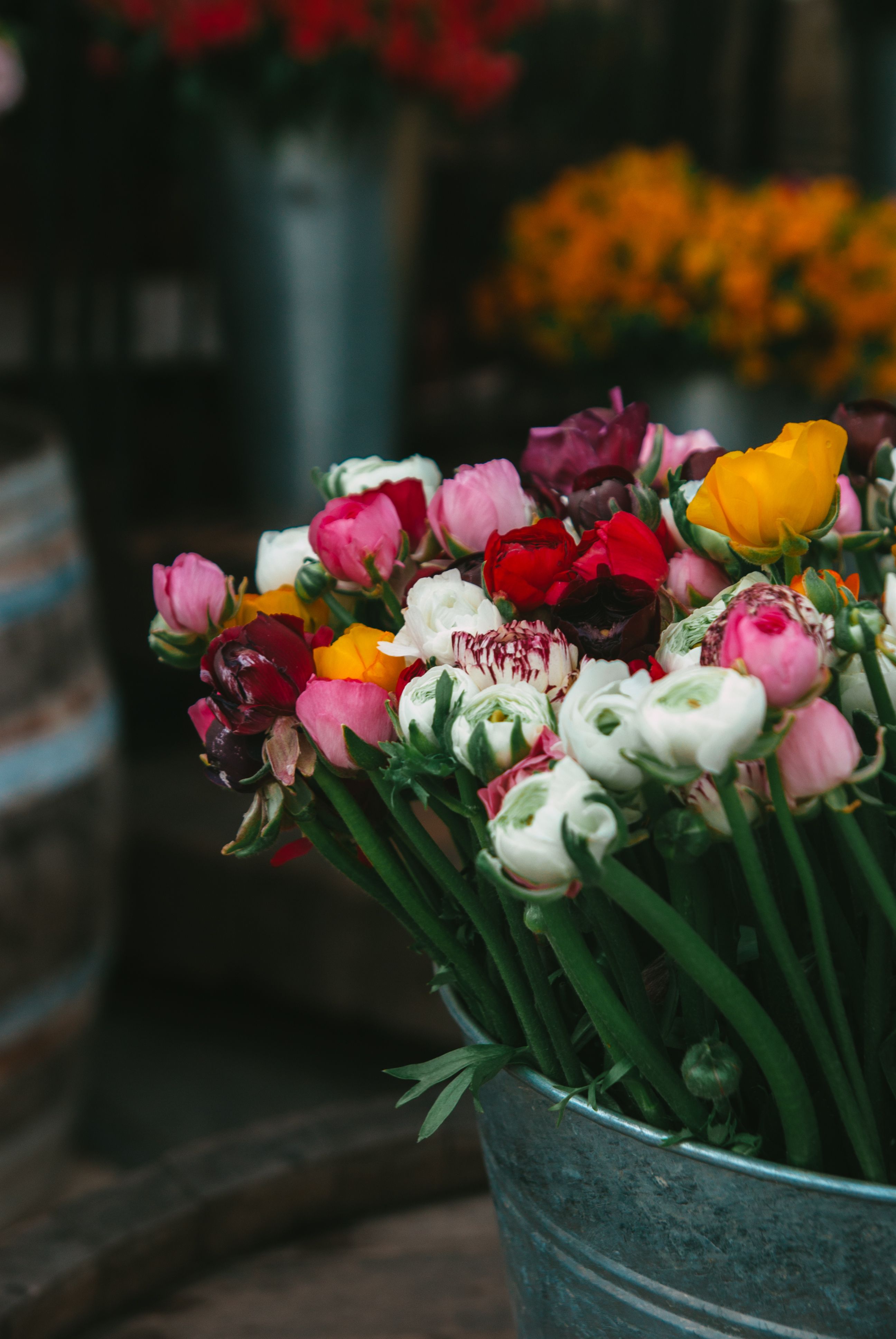 Flowers in a Bucket · Free Stock Photo