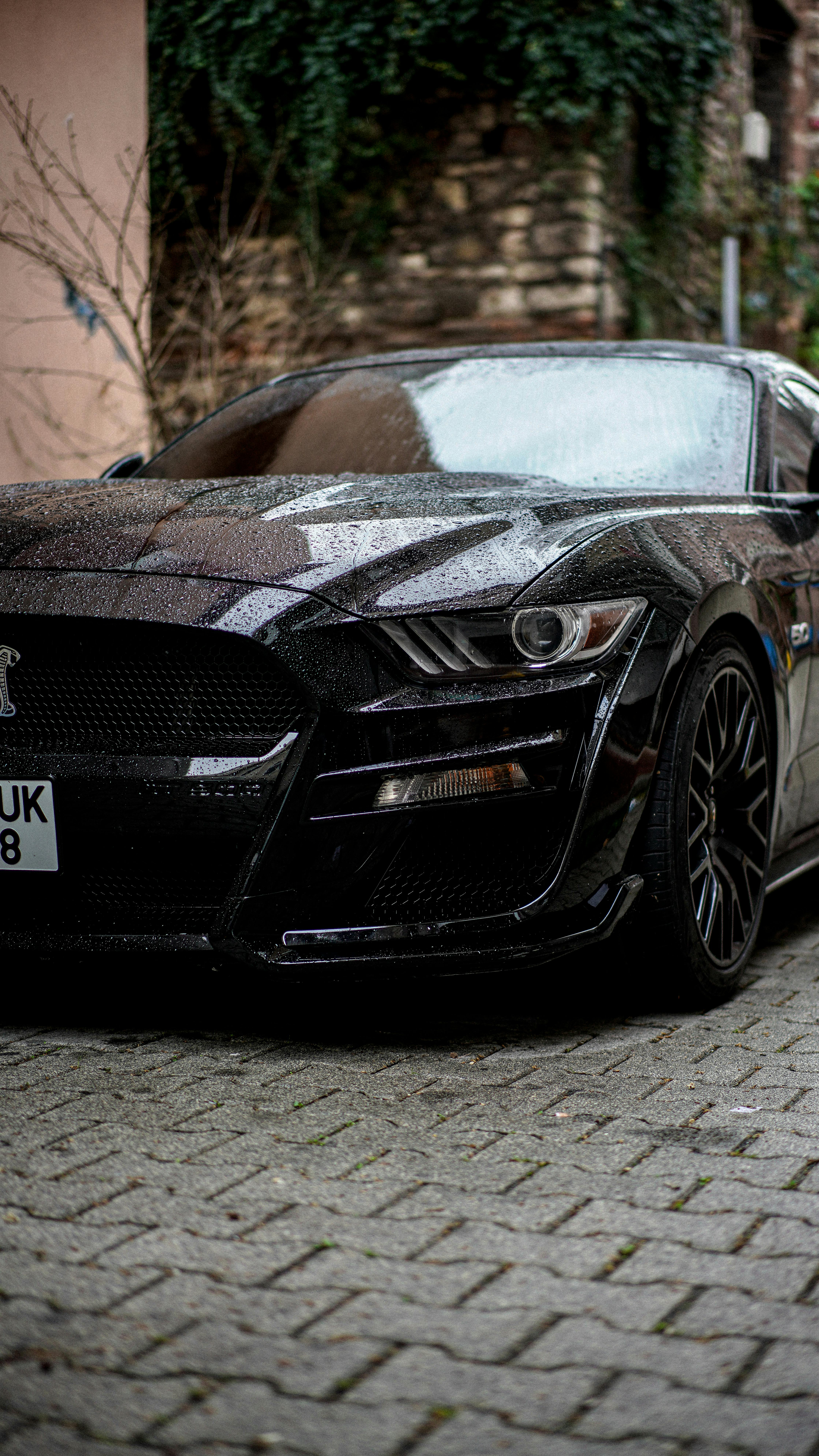 Exterior Shots Photos, Download The BEST Free Exterior Shots Stock ...