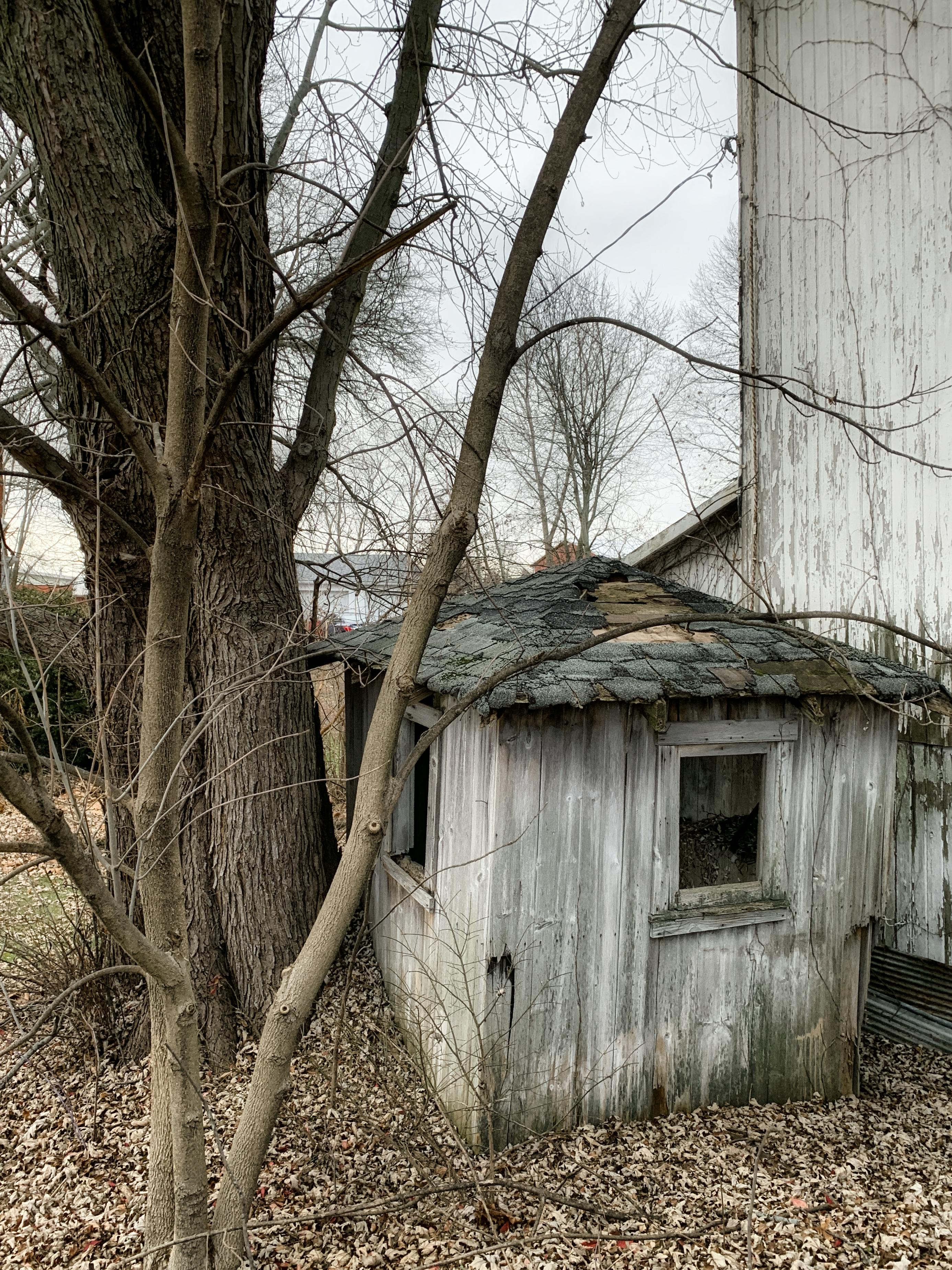 Leslie Saunders - Photography