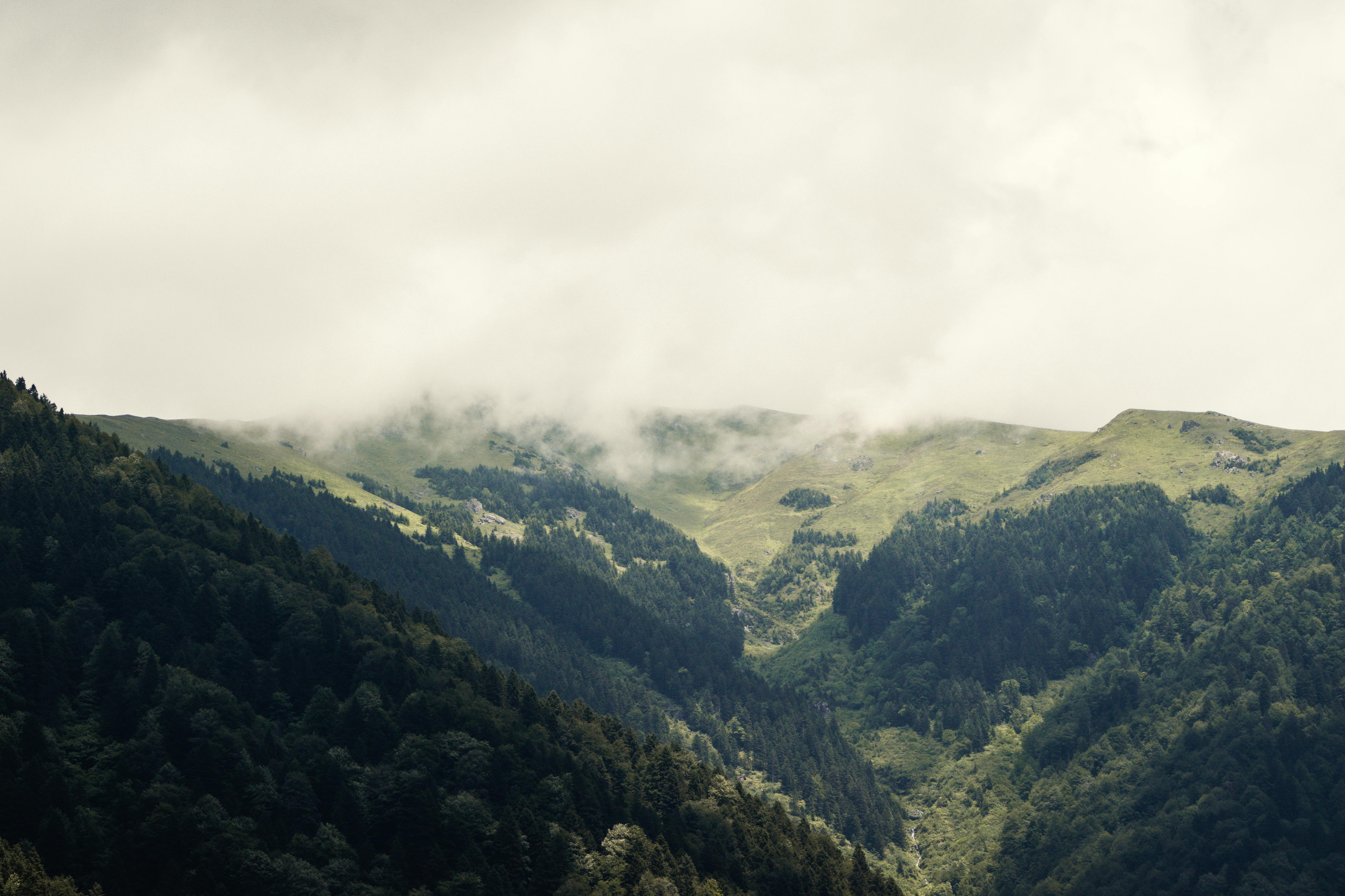 Cloudy Valley with Trees · Free Stock Photo