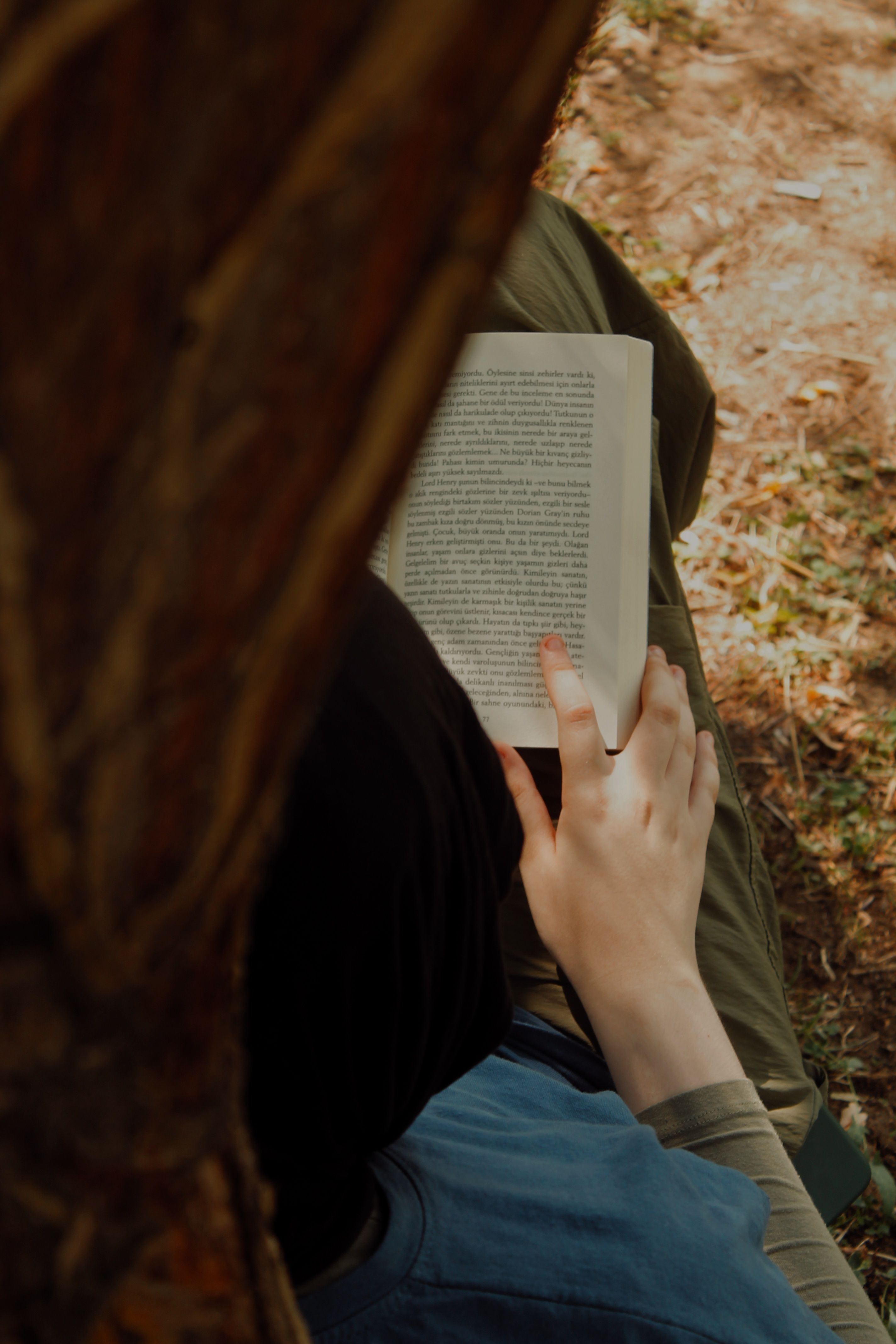 A person reading a book under a tree · Free Stock Photo