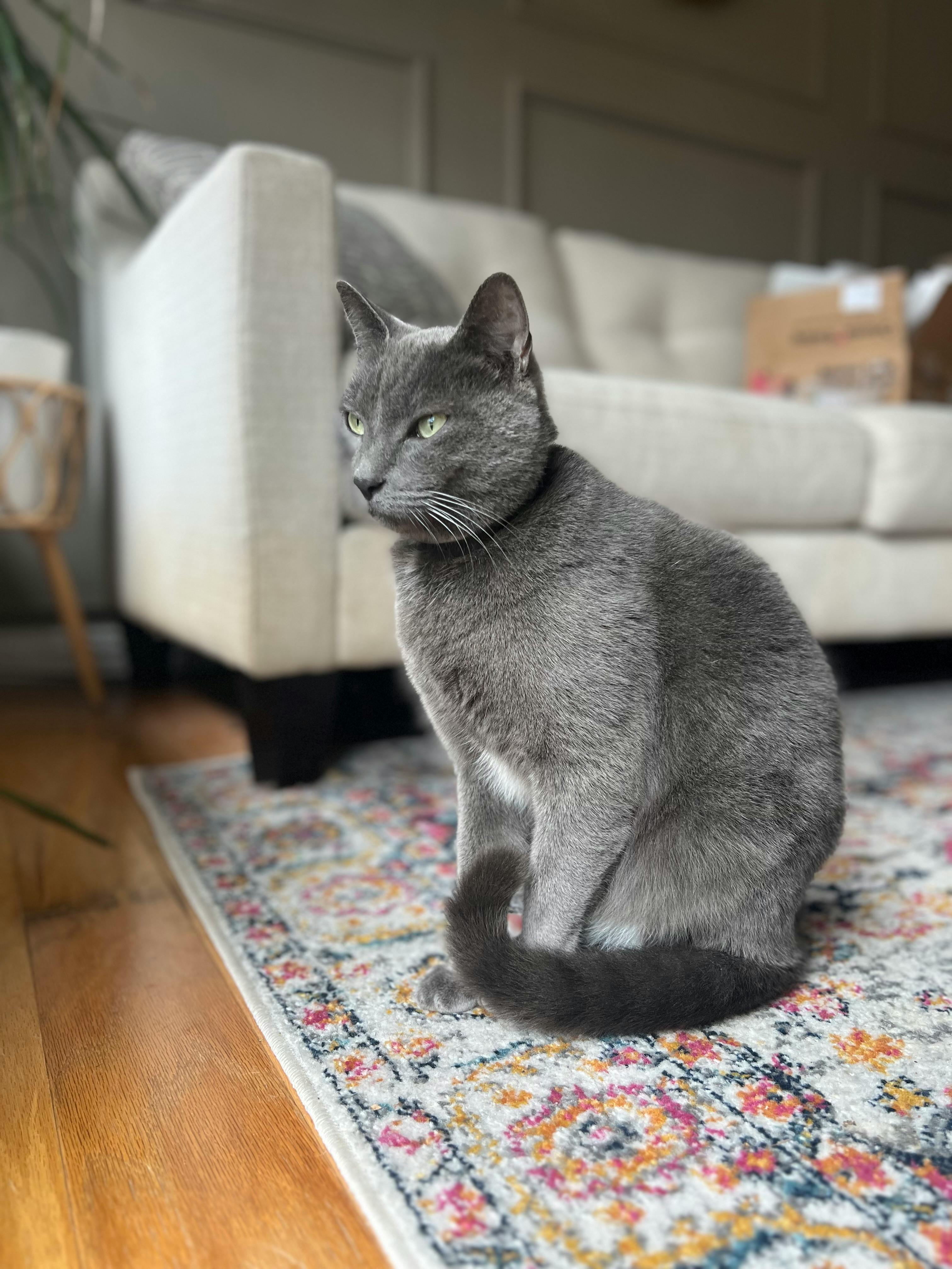 Lesli Whitecotton - Photography