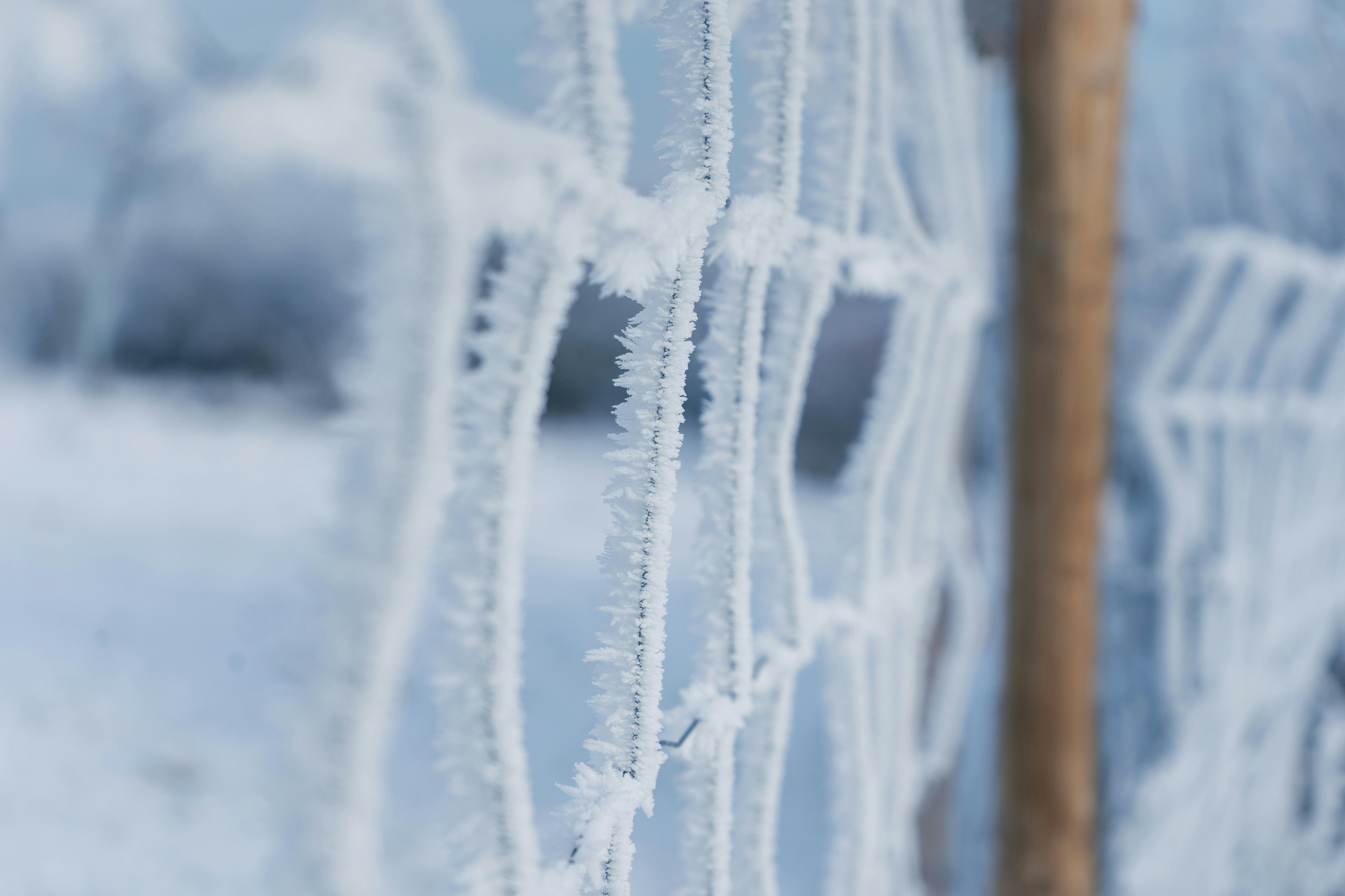 Frosted Metal Mesh Fence · Free Stock Photo