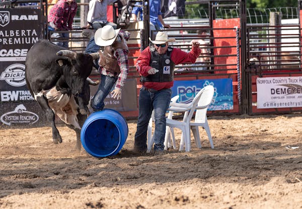 Bull Riding Photos, Download The BEST Free Bull Riding Stock Photos ...